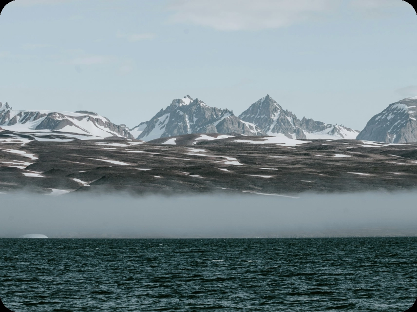 Best 65 Arctic / Antarctic Color Palettes | Octet Design Labs