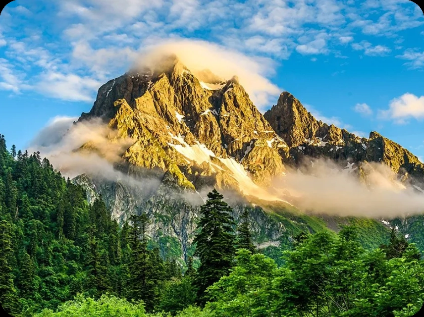 Best 542 Mountain Color Palettes | Octet Design Labs