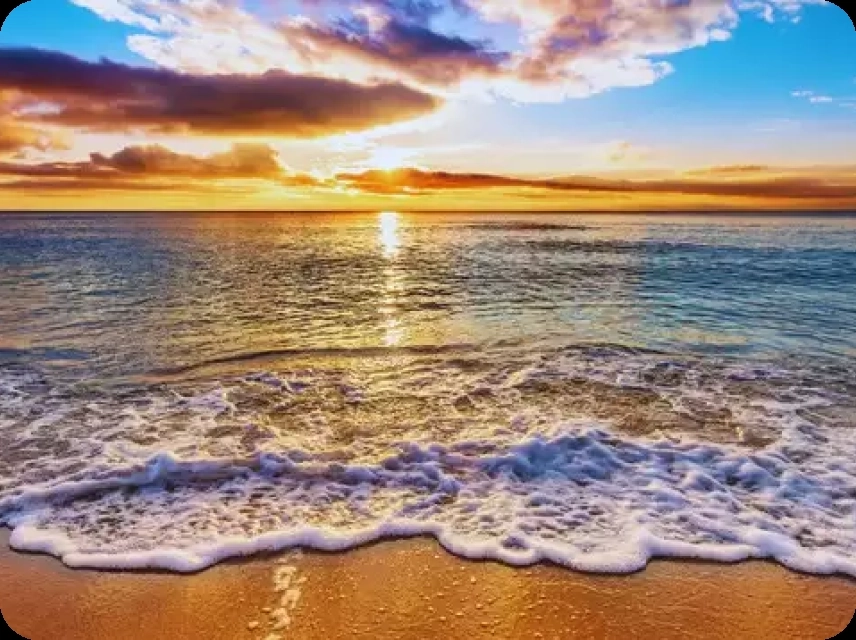 Best 597 Ocean & Beach Color Palettes | Octet Design Labs