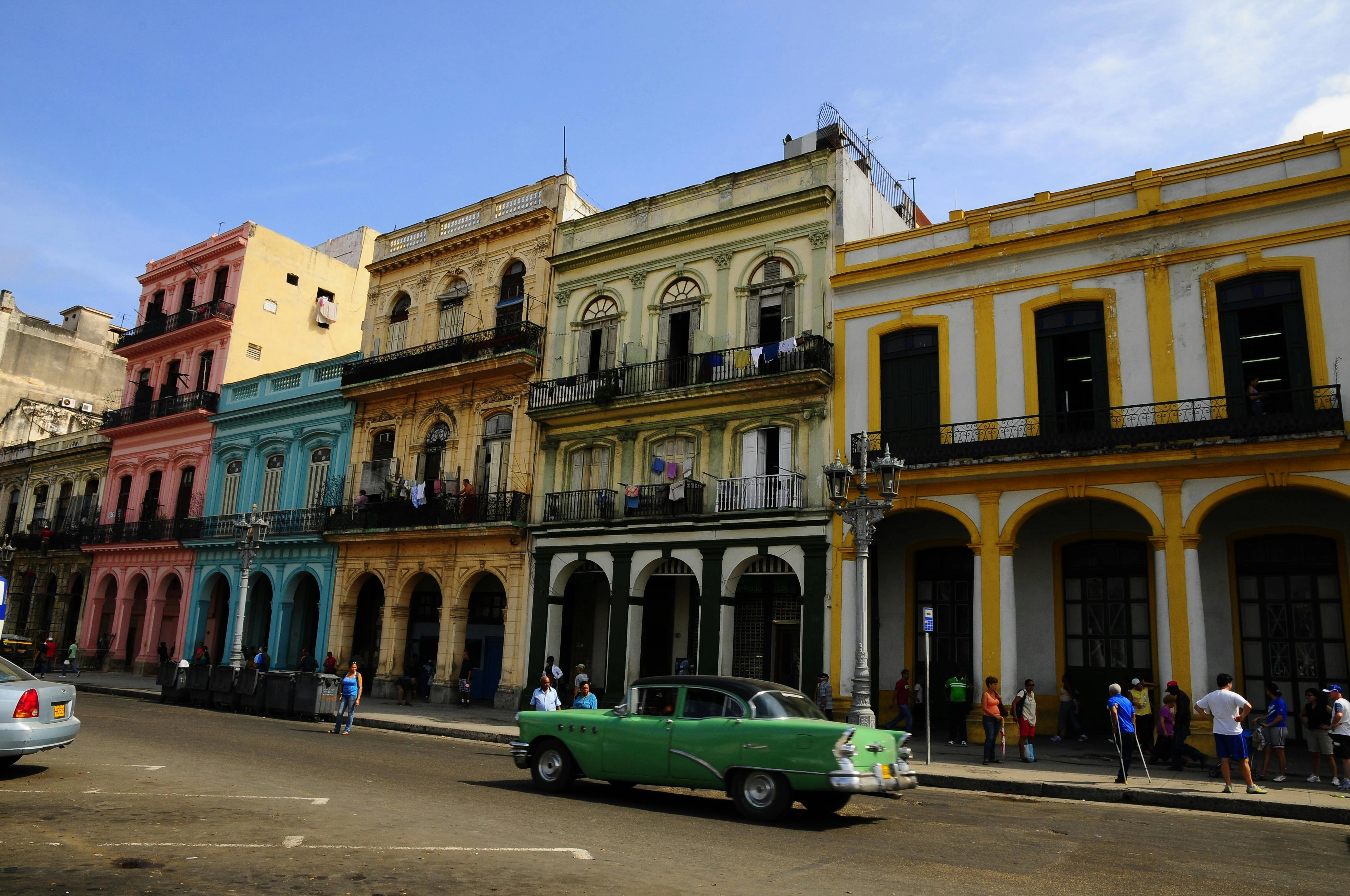 Colorful Havana Color Palette, Combinations & Schemes | Octet Design Labs