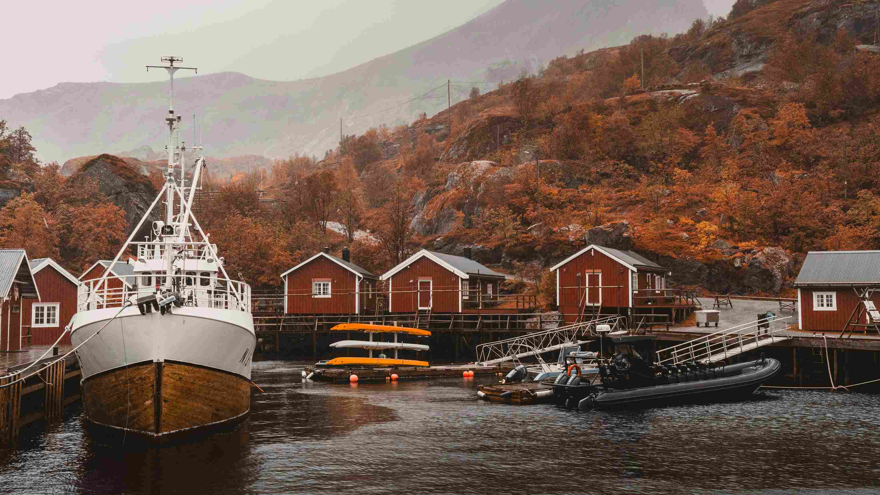 Autumn Fishing Color Palette, Combinations & Schemes | Octet Design Labs