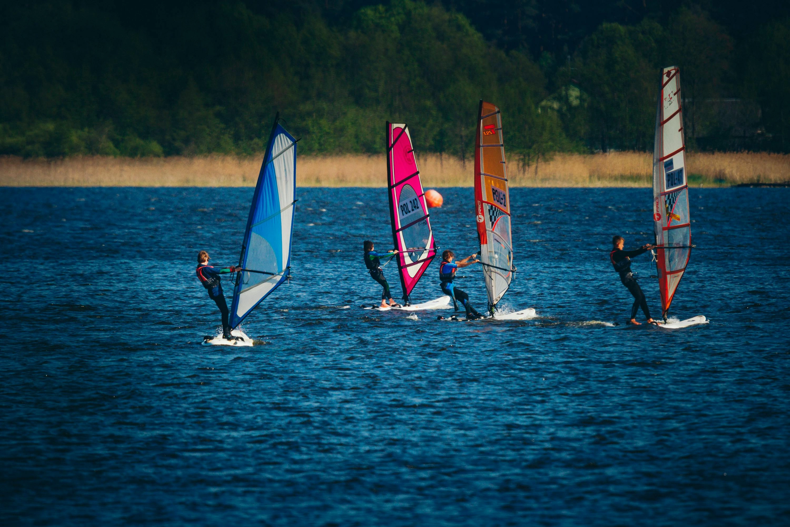 Colorful Windsurfing Color Palette, Combinations & Schemes | Octet ...