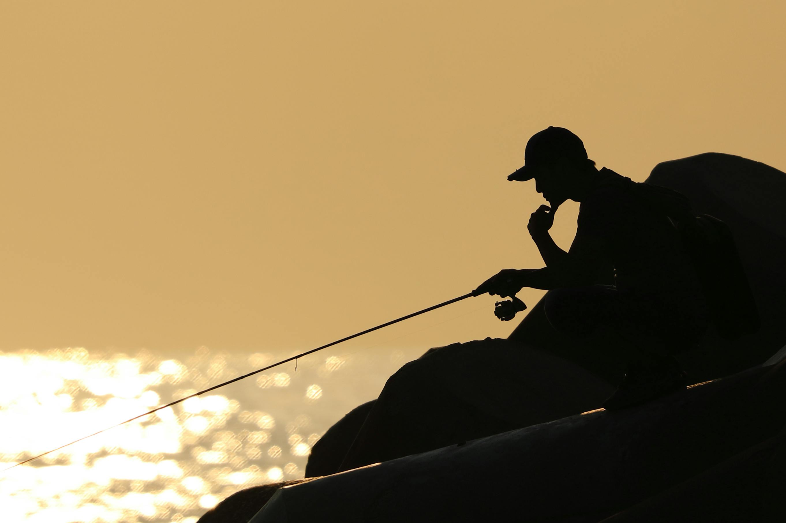 Contemplative Fishing Color Palette, Combinations & Schemes | Octet ...