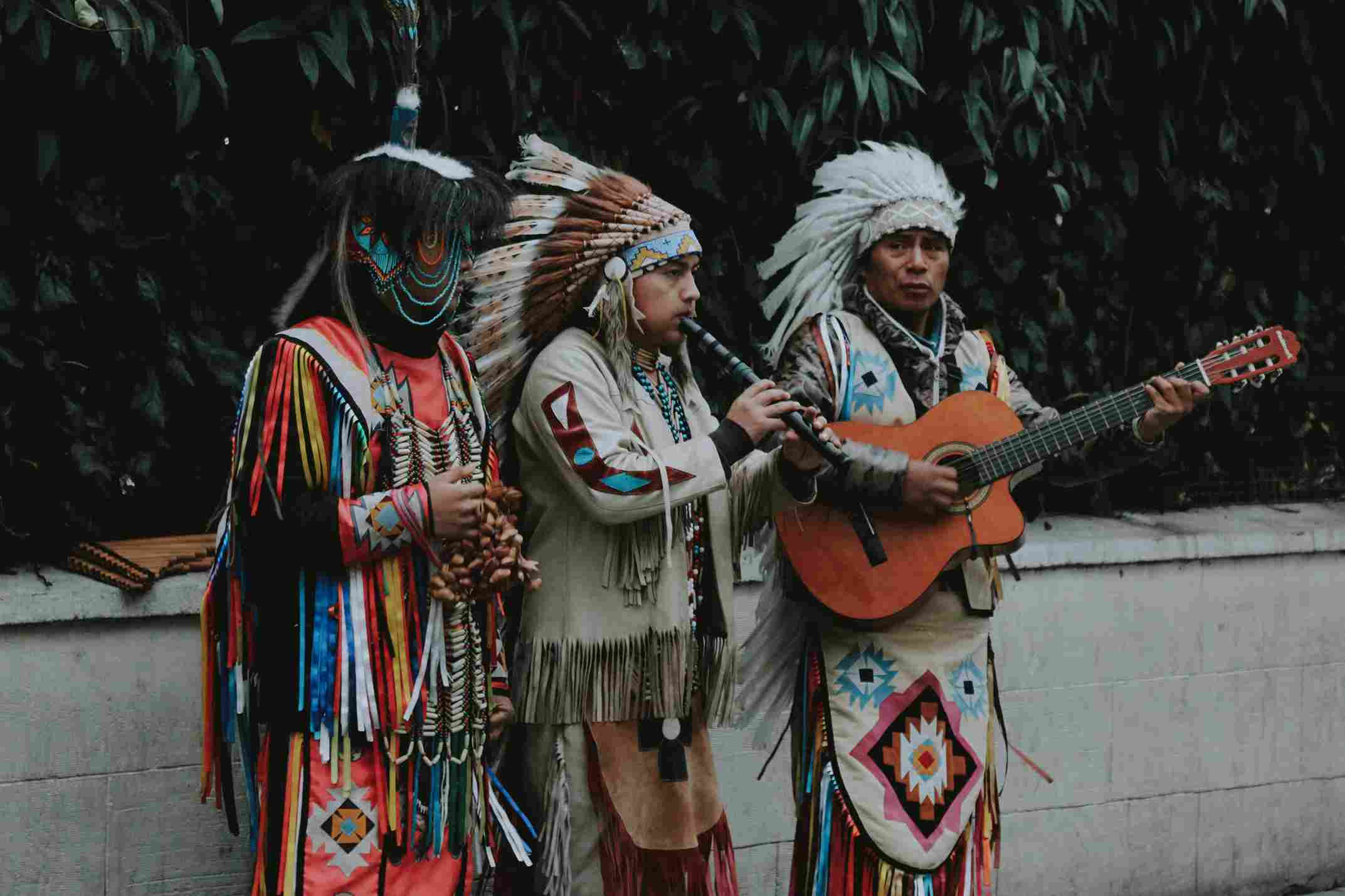 Indigenous Musicians Color Palette, Combinations & Schemes | Octet ...