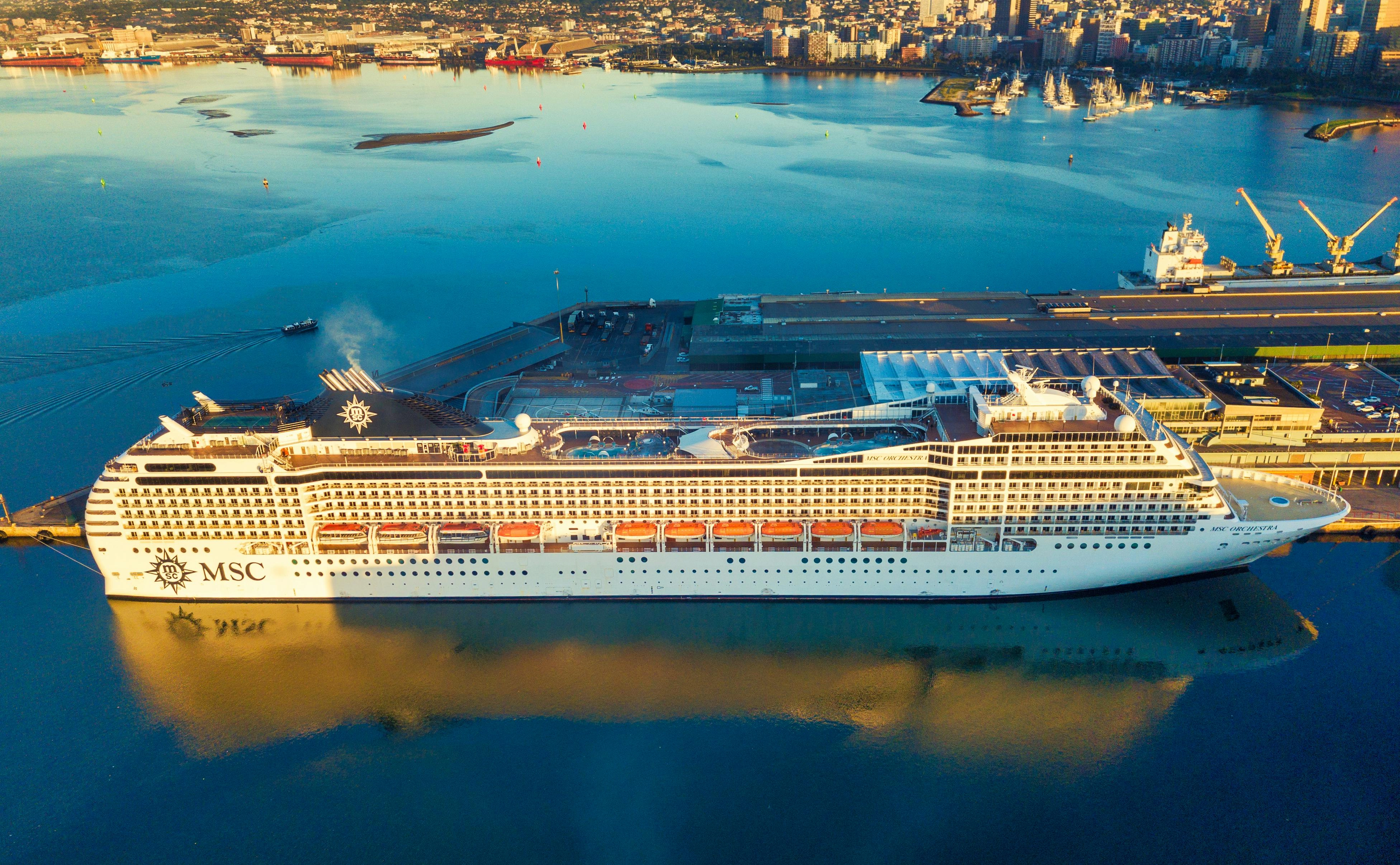 MSC Cruise Color Palette, Combinations & Schemes | Octet Design Labs