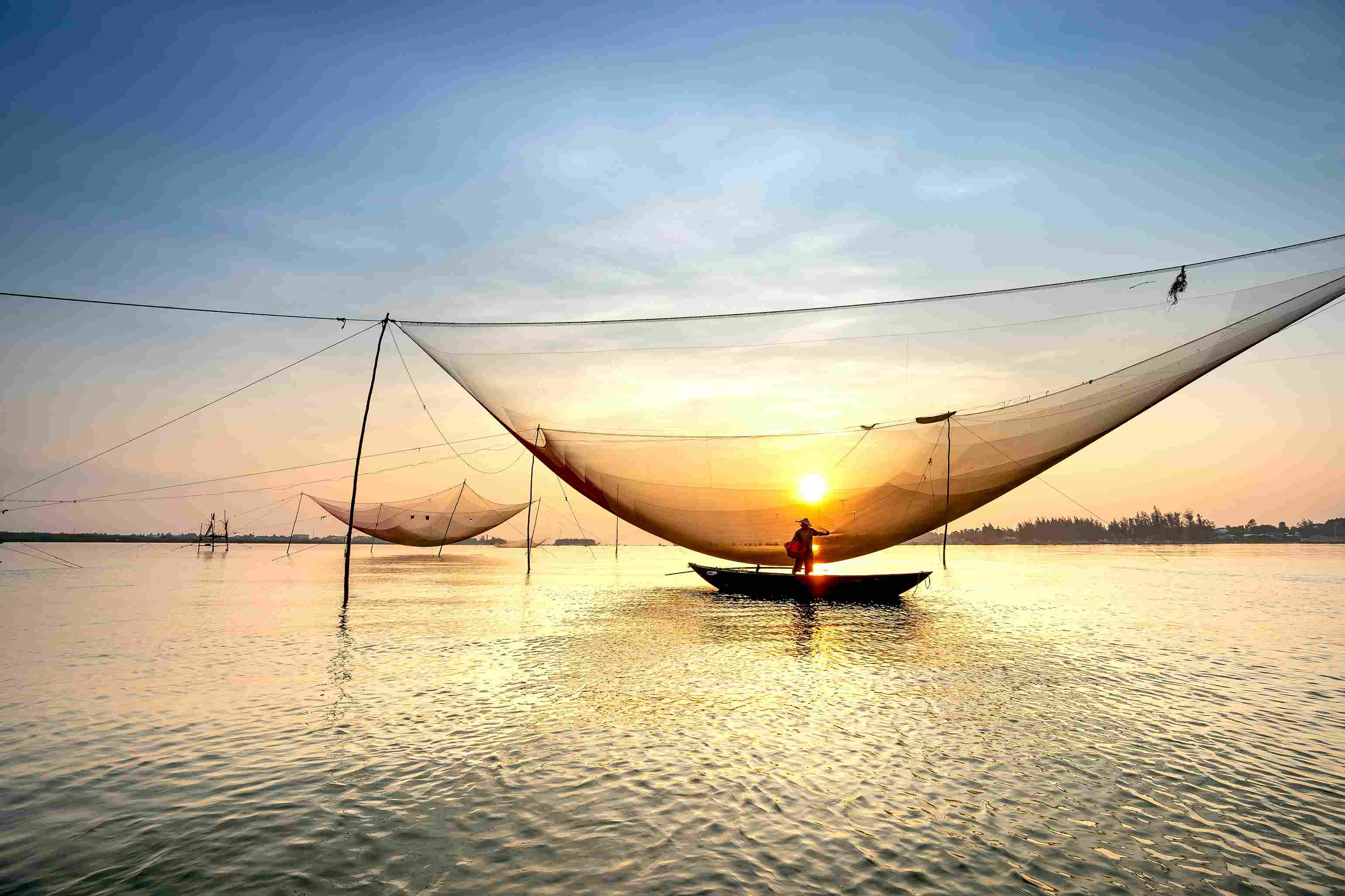 Sunset Fishing Color Palette, Combinations & Schemes | Octet Design Labs