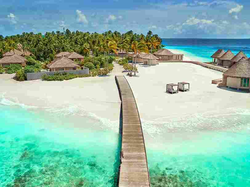 Tropical Paradise Color Palette, Combinations & Schemes | Octet Design Labs