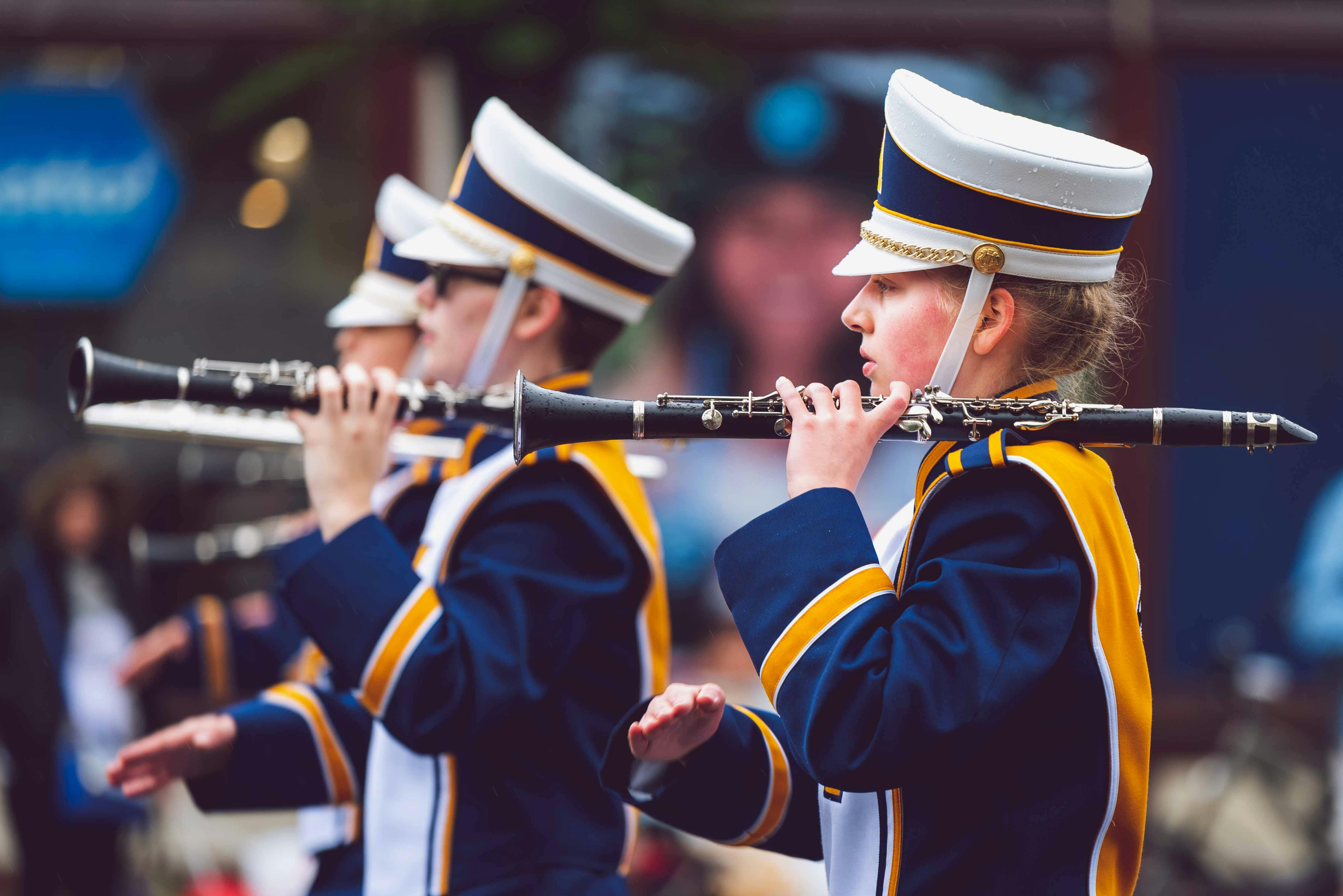 Marching Band Color Palette, Combinations & Schemes | Octet Design Labs