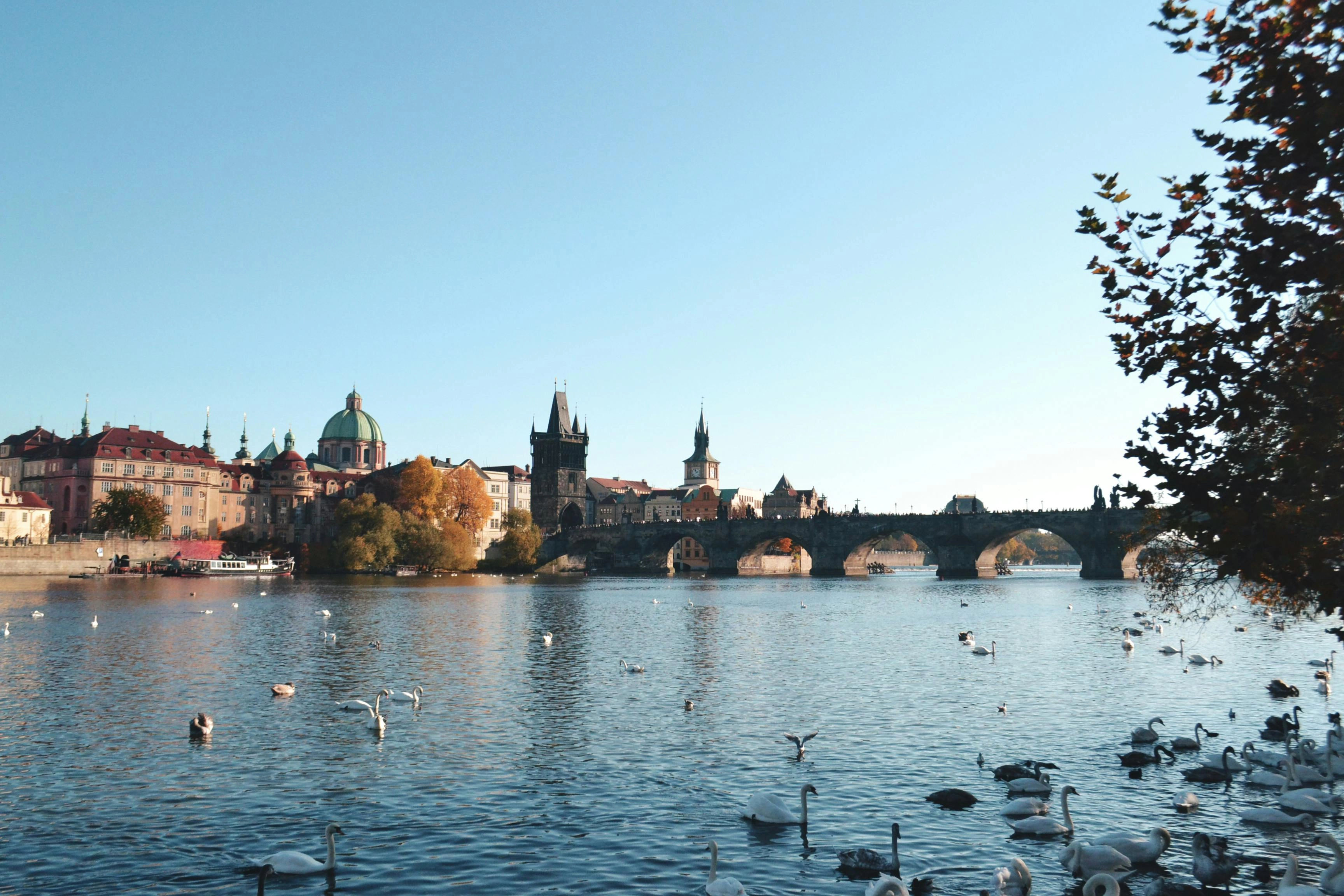 Prague's Charles Color Palette, Combinations & Schemes | Octet Design Labs