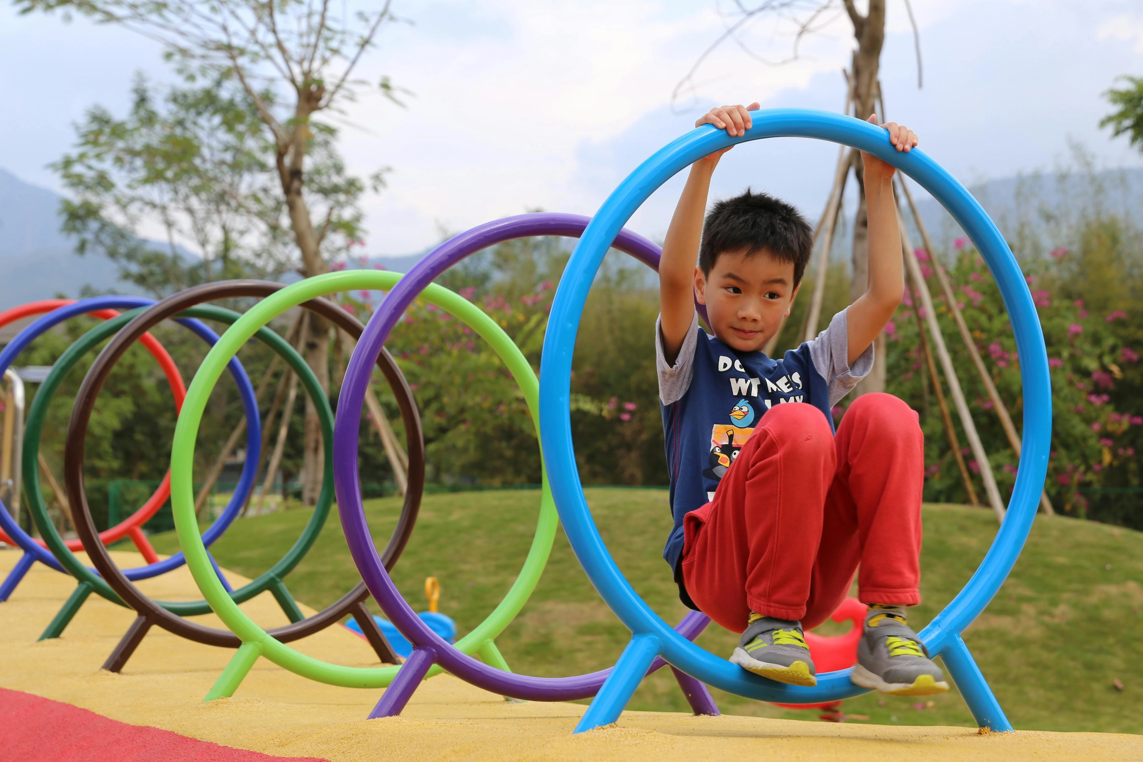Colorful Playground Color Palette, Combinations & Schemes | Octet ...