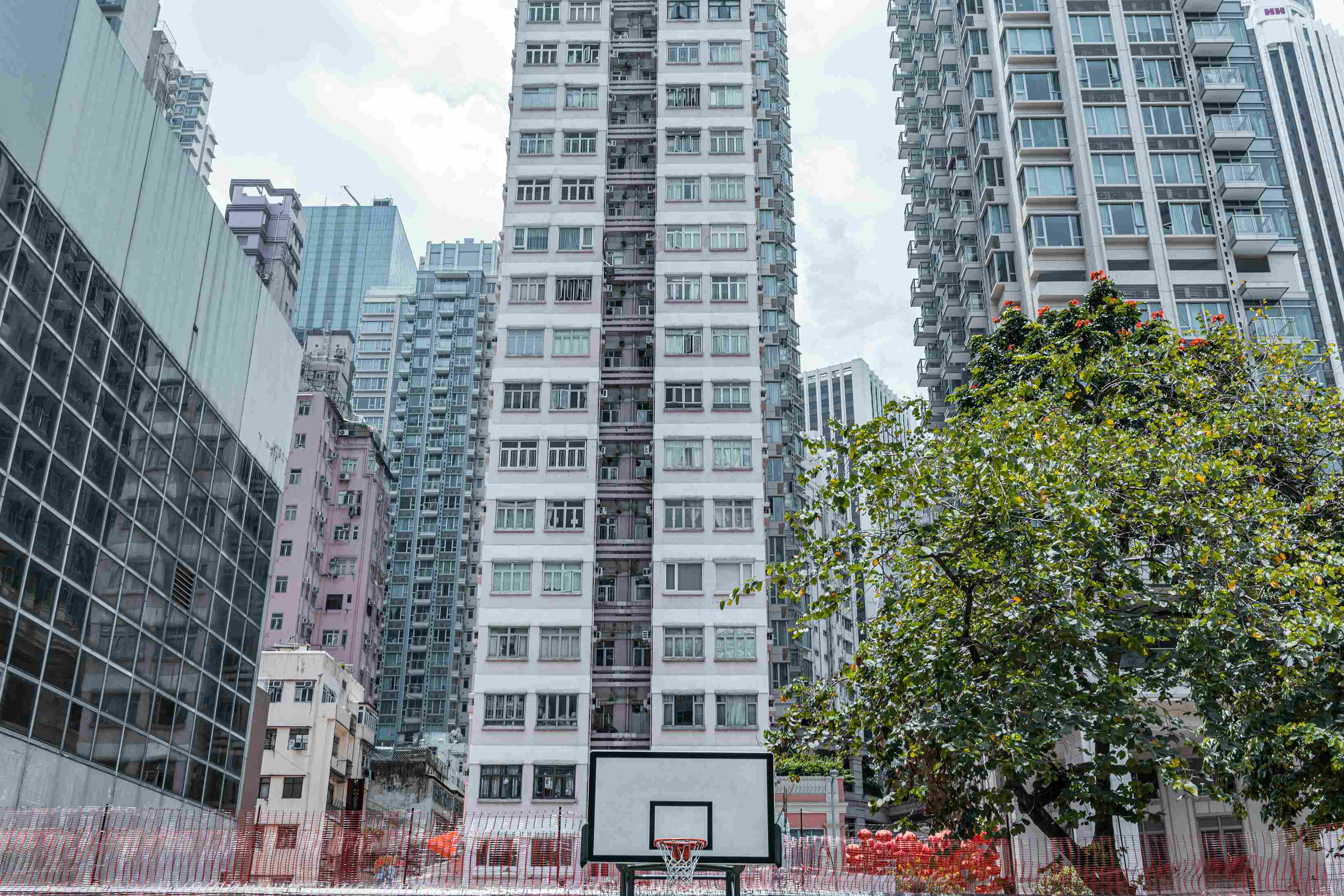 Urban Basketball Color Palette, Combinations & Schemes | Octet Design Labs