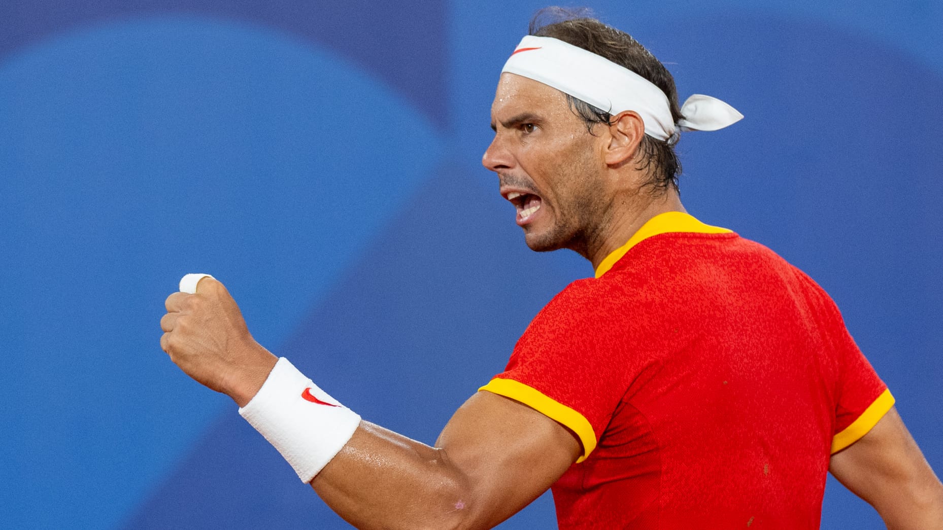 Tennis player Color Palette, Combinations & Schemes | Octet Design Labs