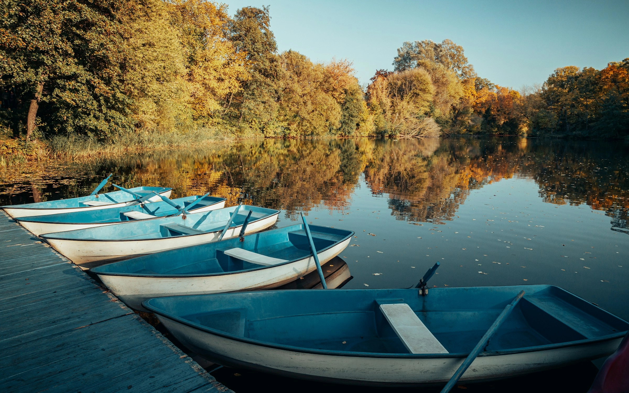 Autumn Lakeside Color Palette, Combinations & Schemes | Octet Design Labs