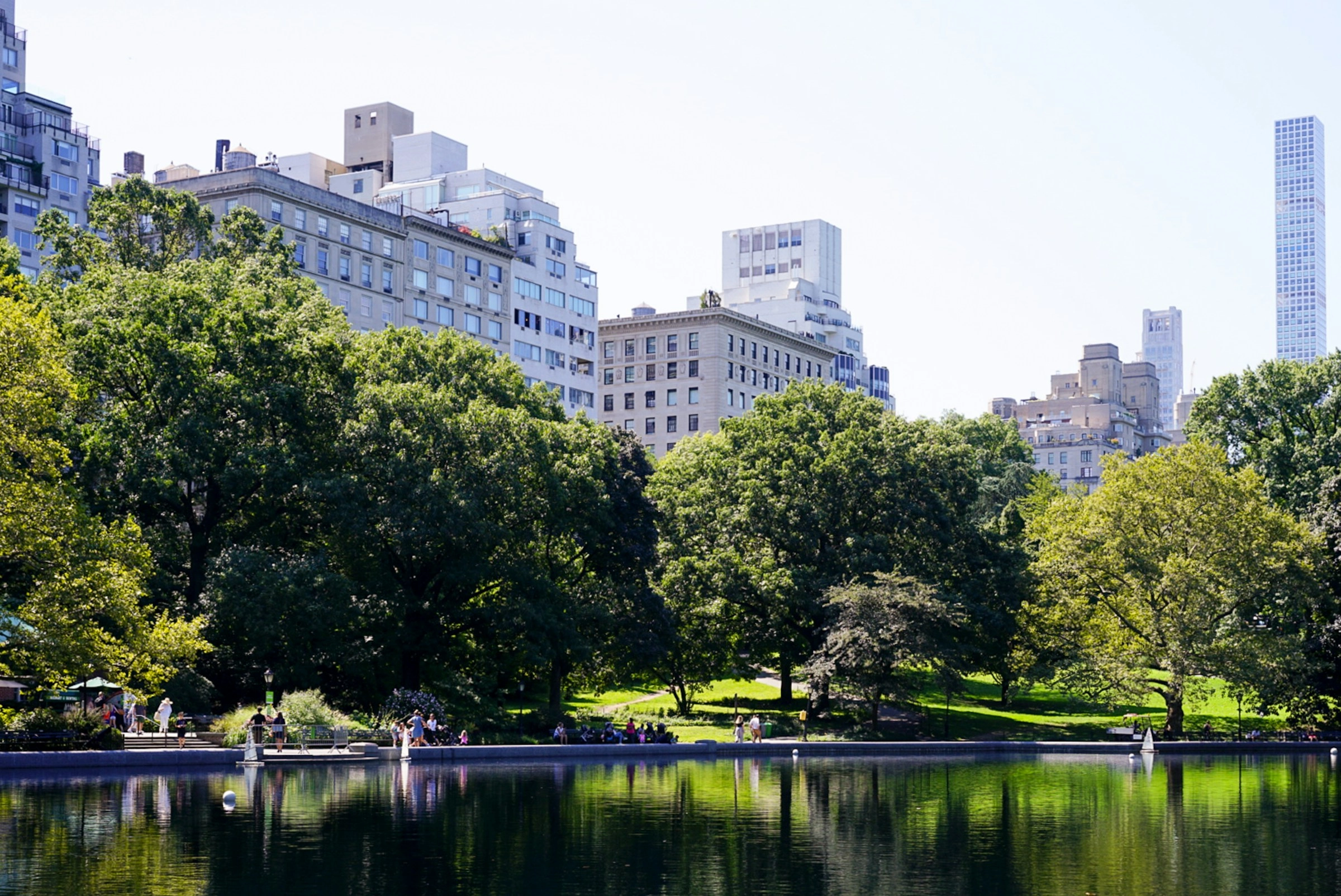 Central Park Color Palette, Combinations & Schemes | Octet Design Labs