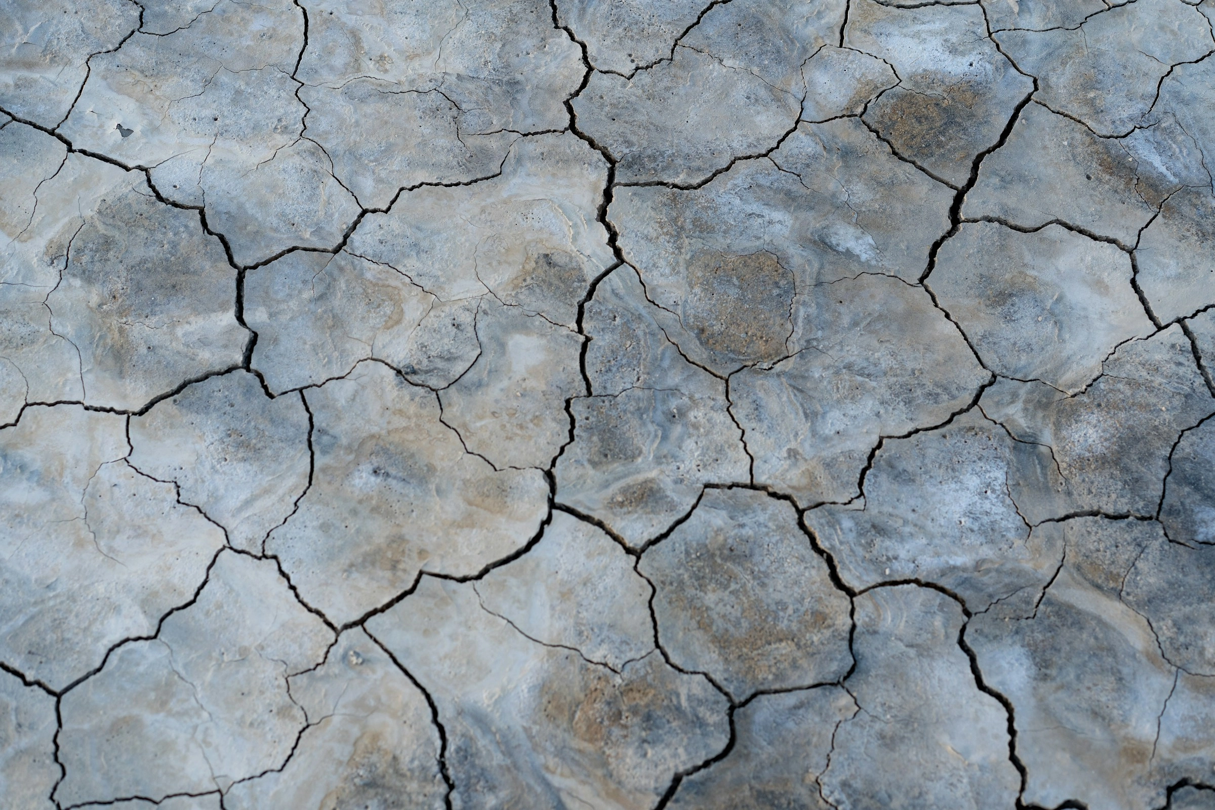Cracked Dry Color Palette, Combinations & Schemes | Octet Design Labs