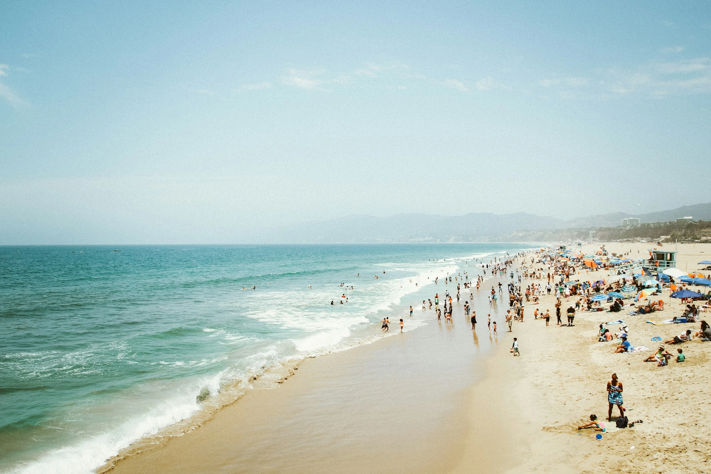 Crowded Sunny Color Palette, Combinations & Schemes | Octet Design Labs