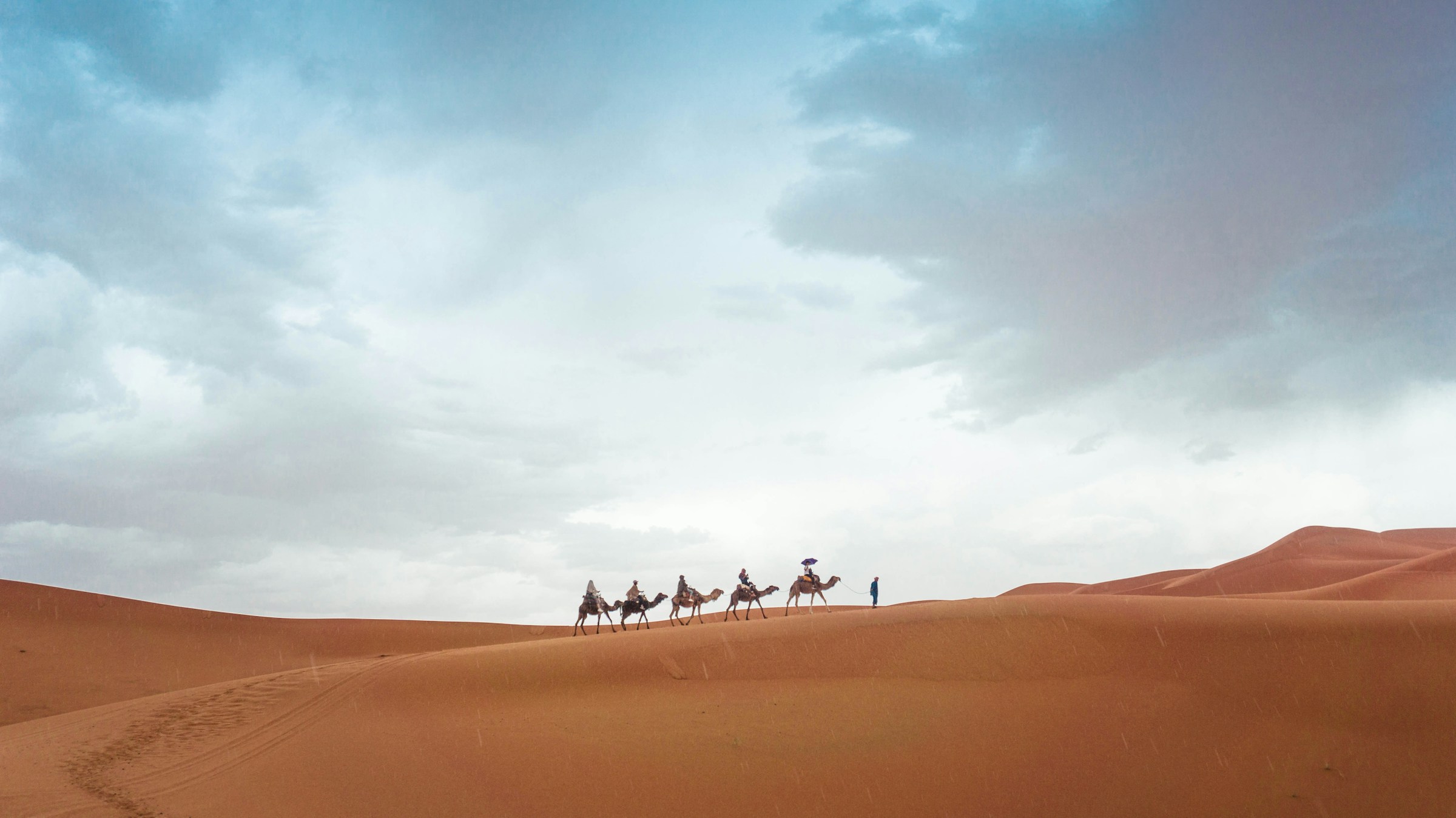 Desert Caravan Color Palette, Combinations & Schemes | Octet Design Labs