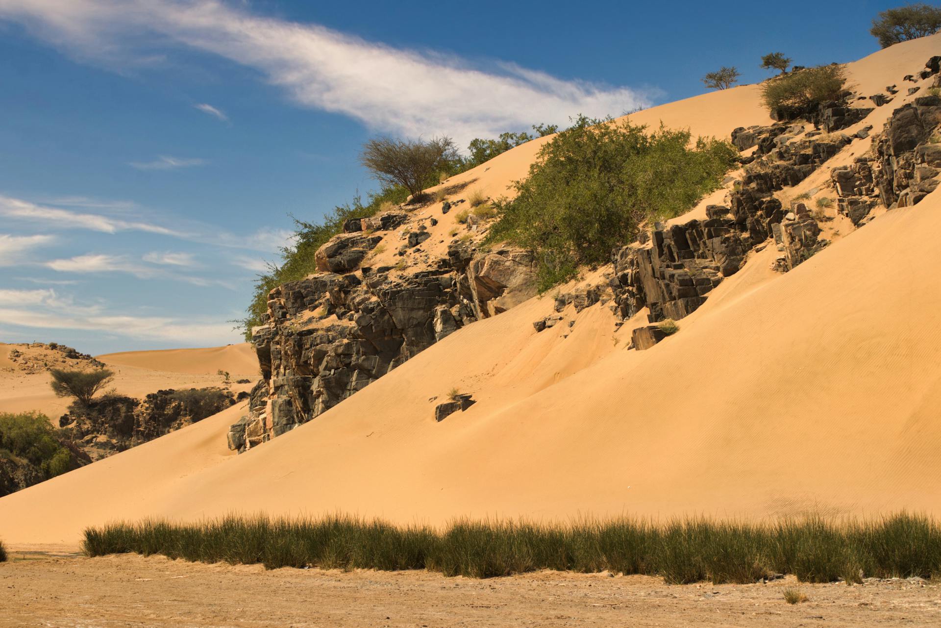 Desert Rock Color Palette, Combinations & Schemes | Octet Design Labs