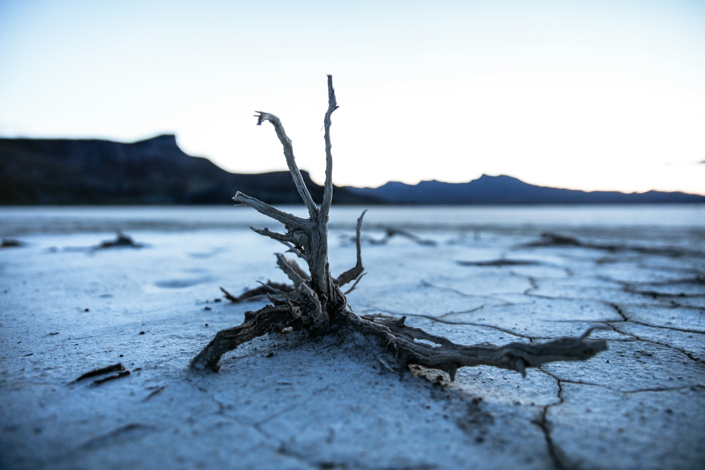 Desolate Lakeshore Color Palette, Combinations & Schemes | Octet Design ...