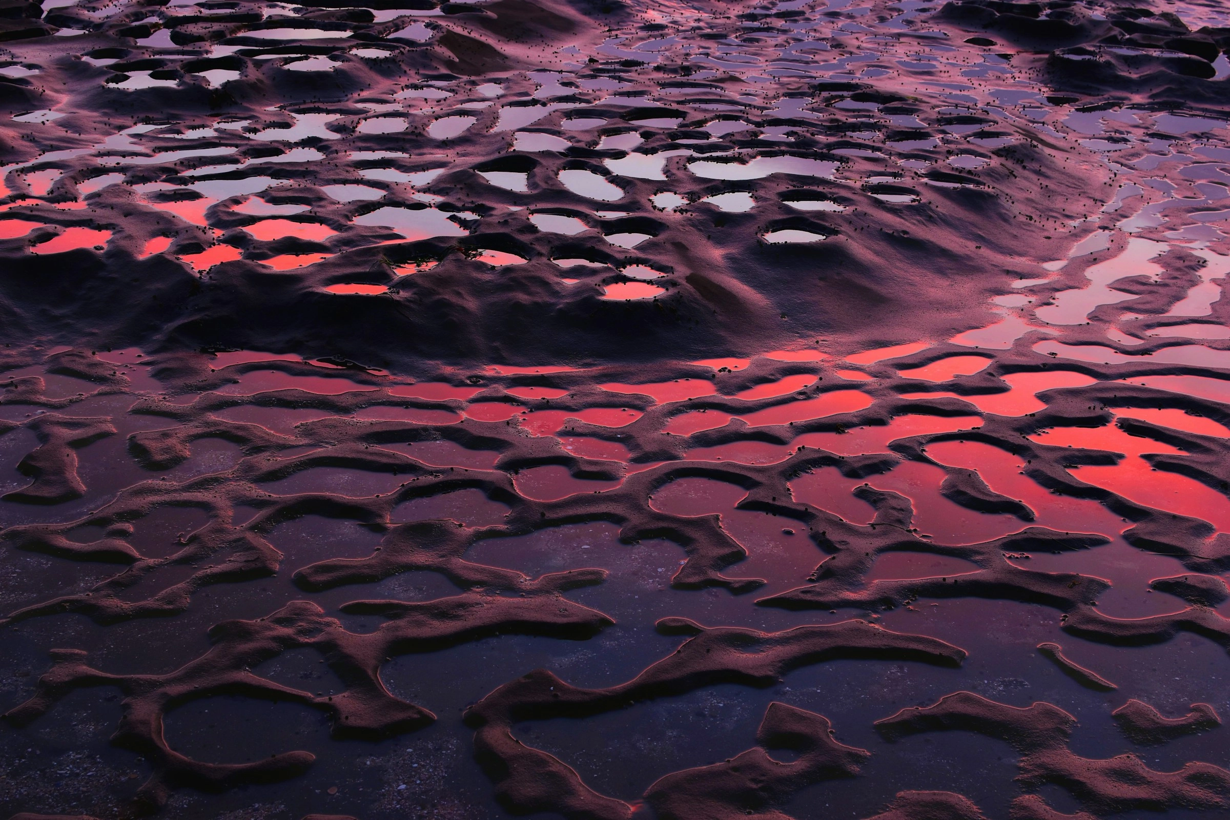 Ethereal Sunset-Hued Color Palette, Combinations & Schemes | Octet ...