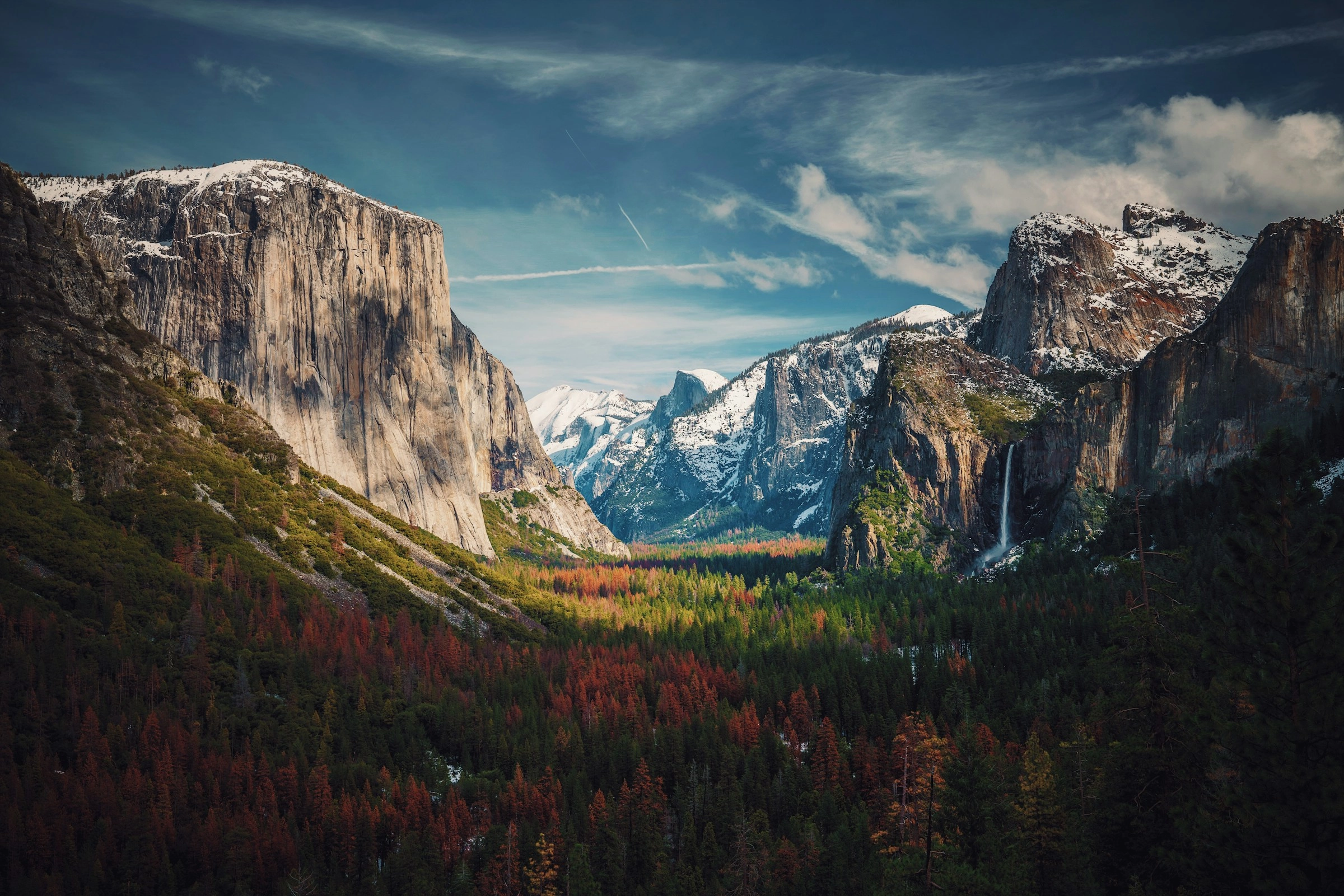 Majestic Yosemite Color Palette, Combinations & Schemes | Octet Design Labs