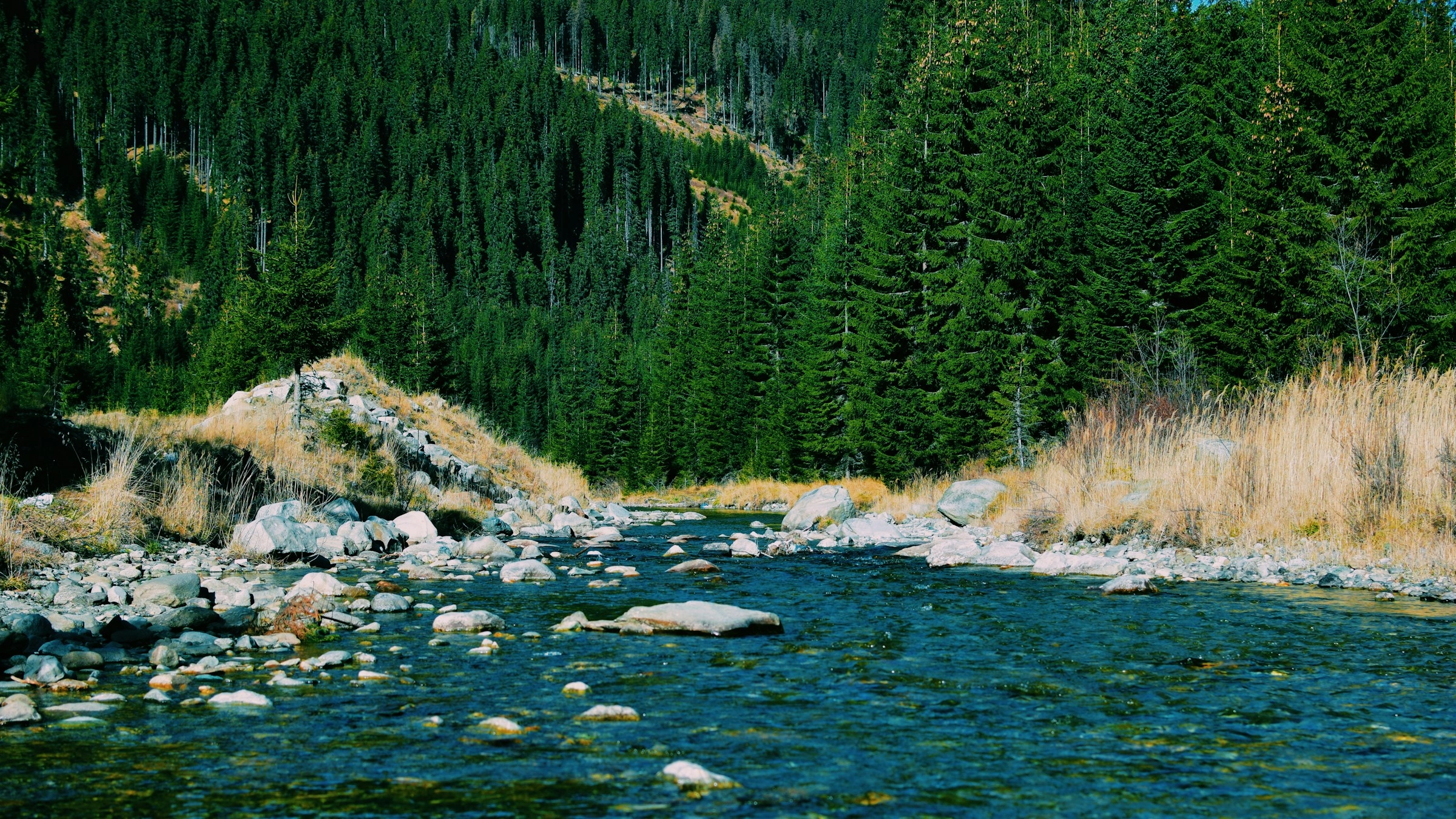 Mountain Stream Color Palette, Combinations & Schemes | Octet Design Labs