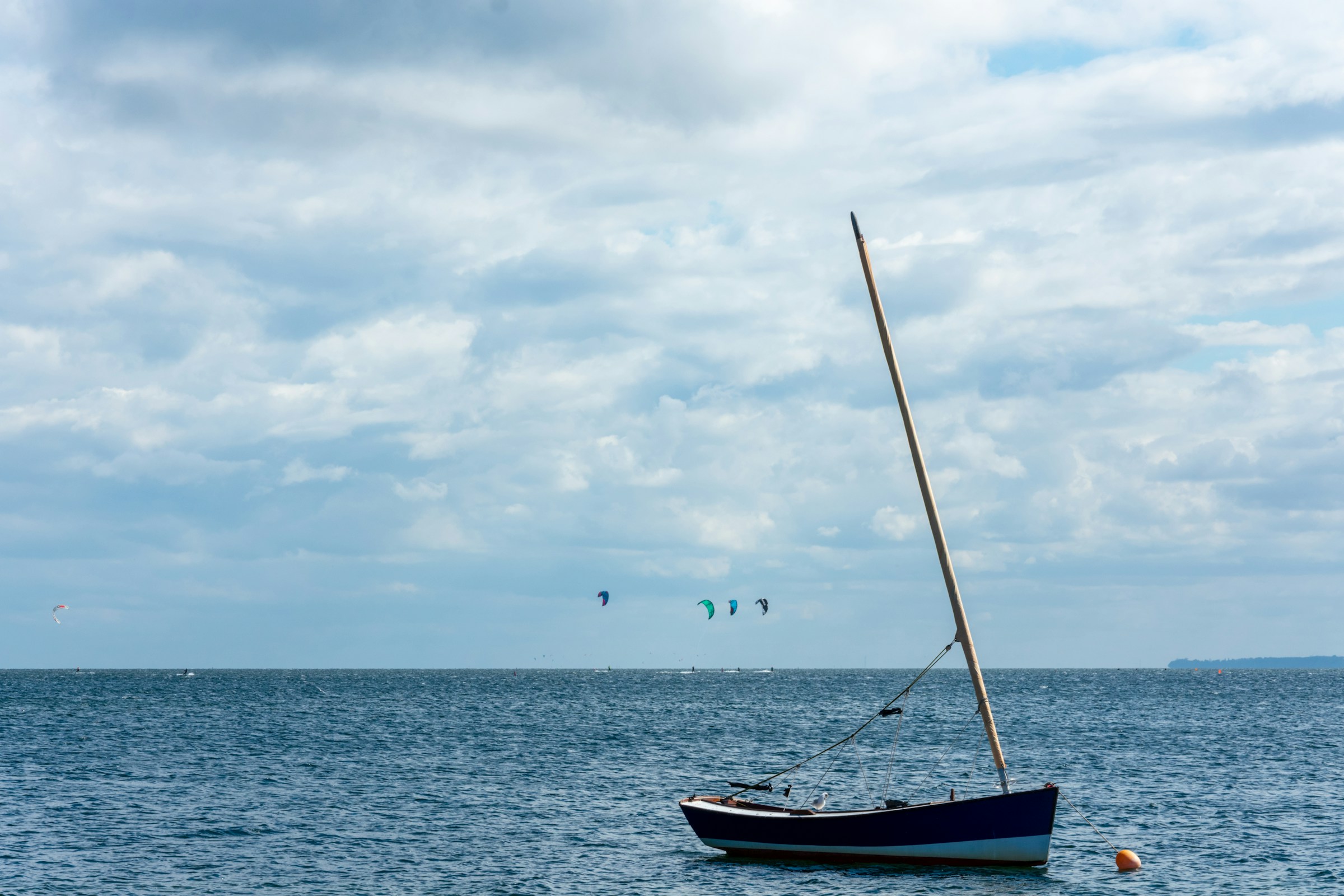 Sailboat and Color Palette, Combinations & Schemes | Octet Design Labs