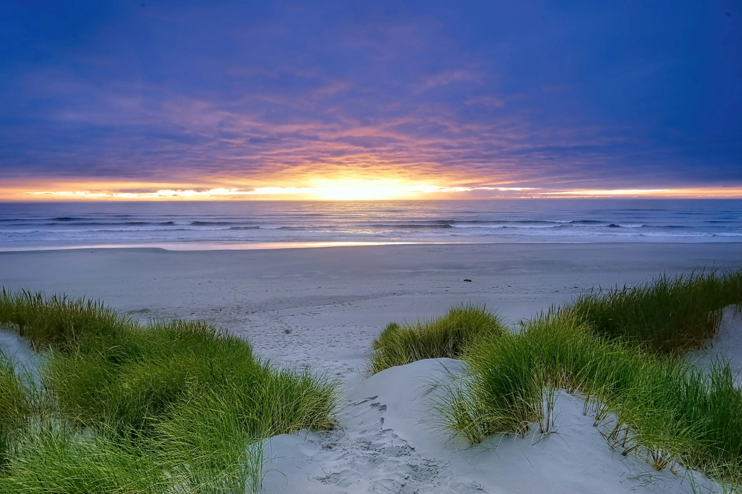 Serene Coastal Color Palette, Combinations & Schemes | Octet Design Labs