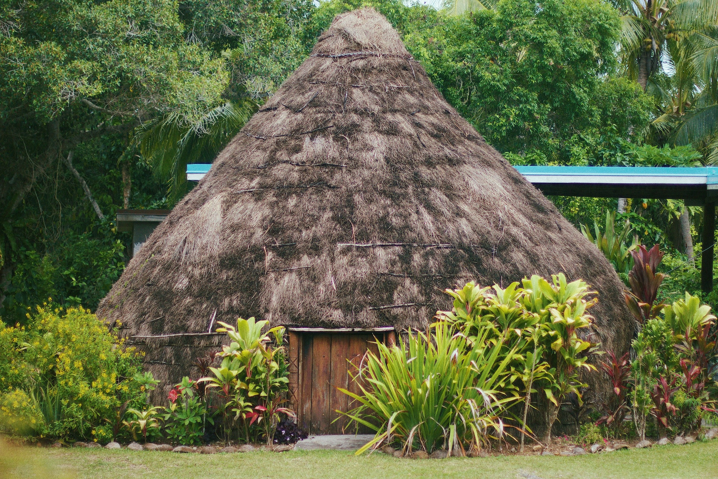 Tropical Thatched Color Palette, Combinations & Schemes | Octet Design Labs