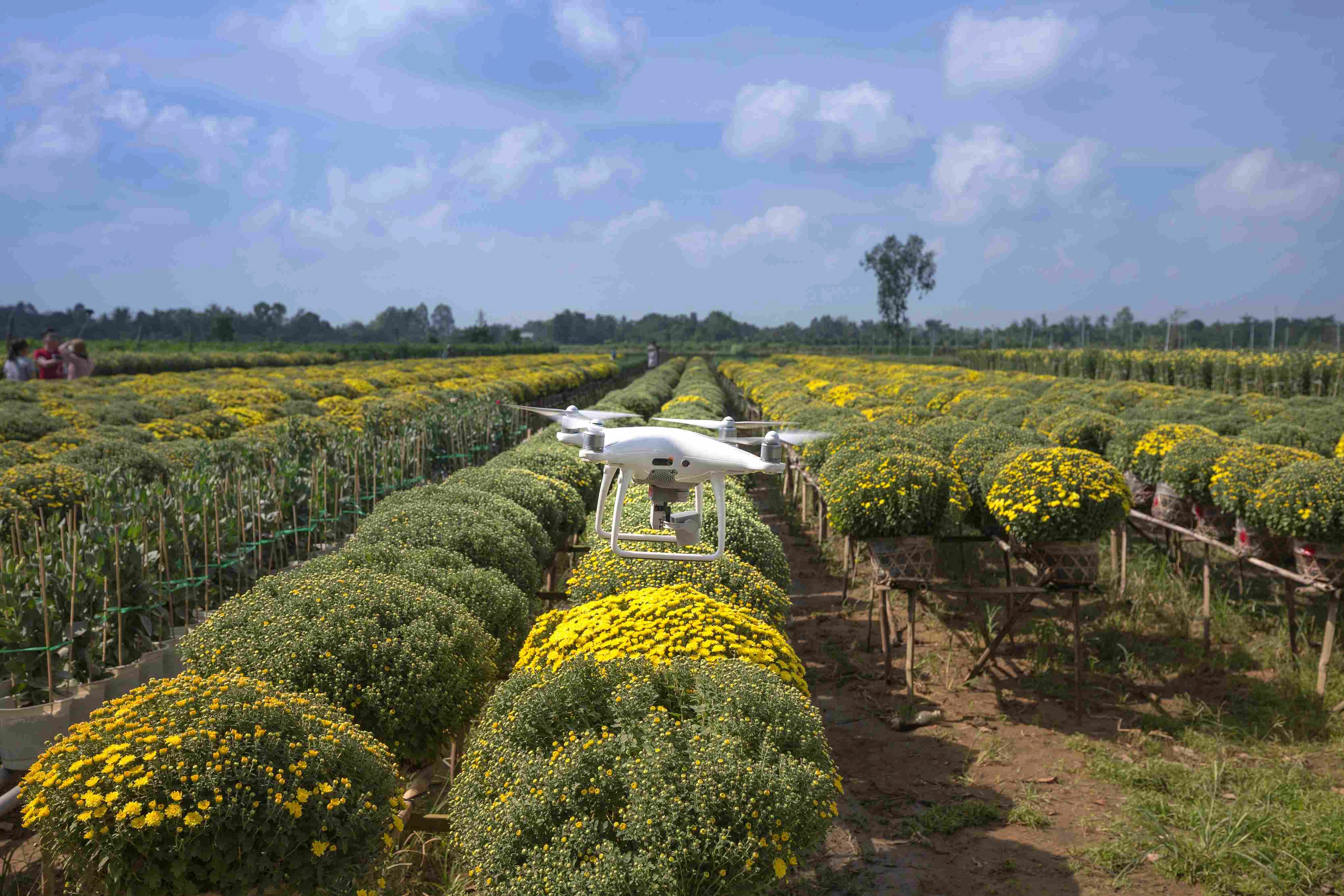 Drone surveying Color Palette, Combinations & Schemes | Octet Design Labs