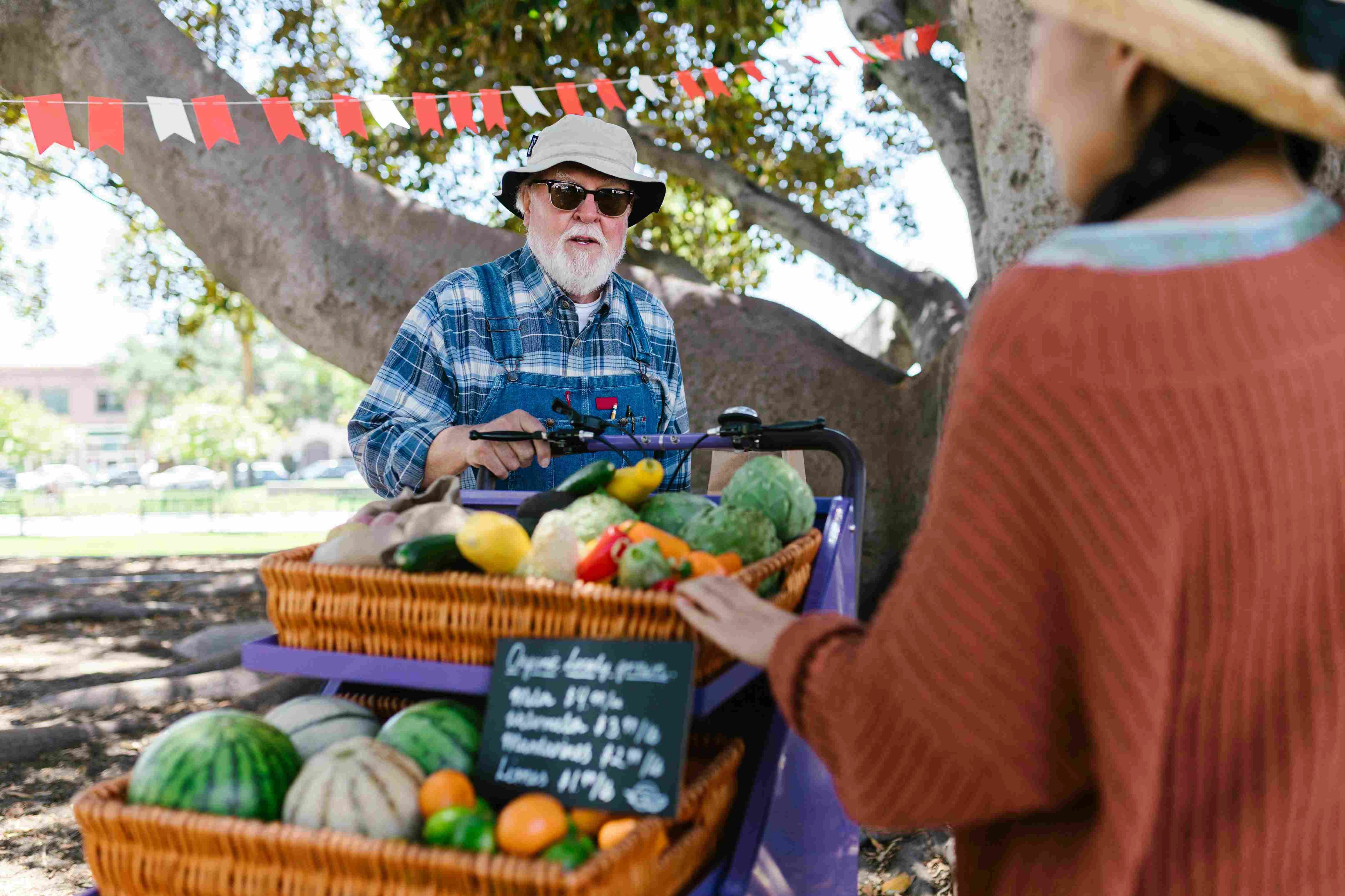 Farmers Market Color Palette, Combinations & Schemes | Octet Design Labs