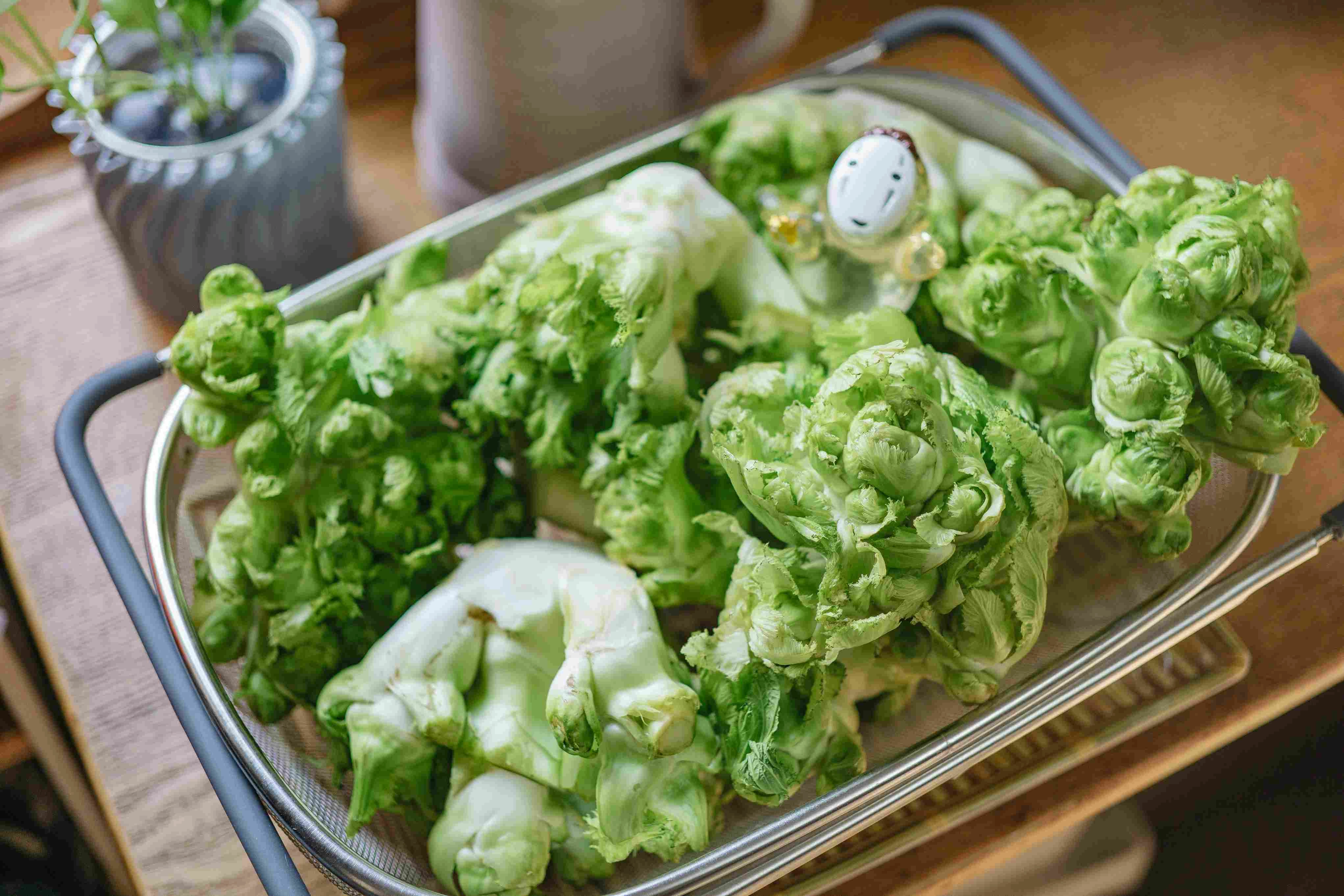 Fresh Lettuce Color Palette, Combinations & Schemes | Octet Design Labs