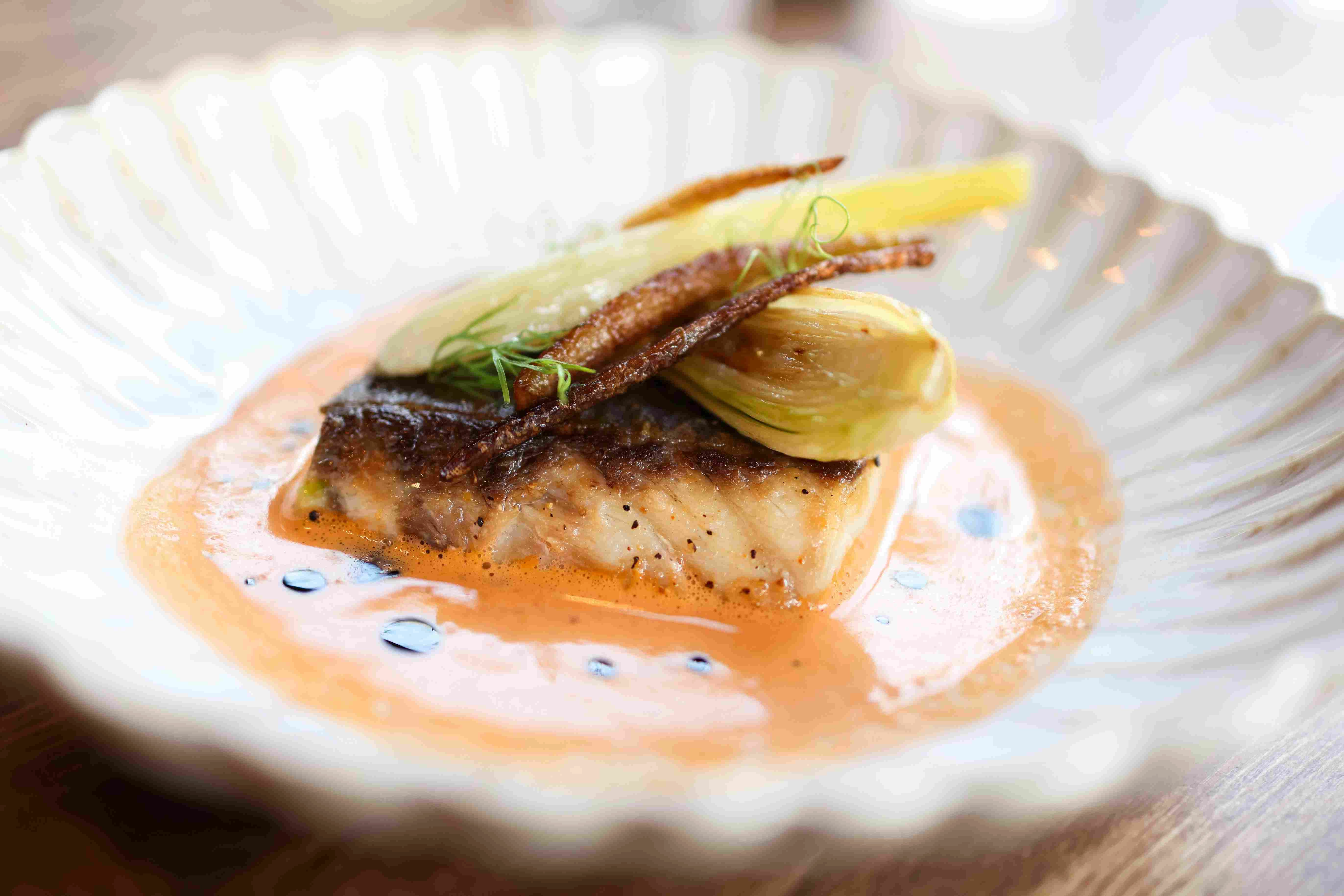 Gourmet Fish Color Palette, Combinations & Schemes | Octet Design Labs