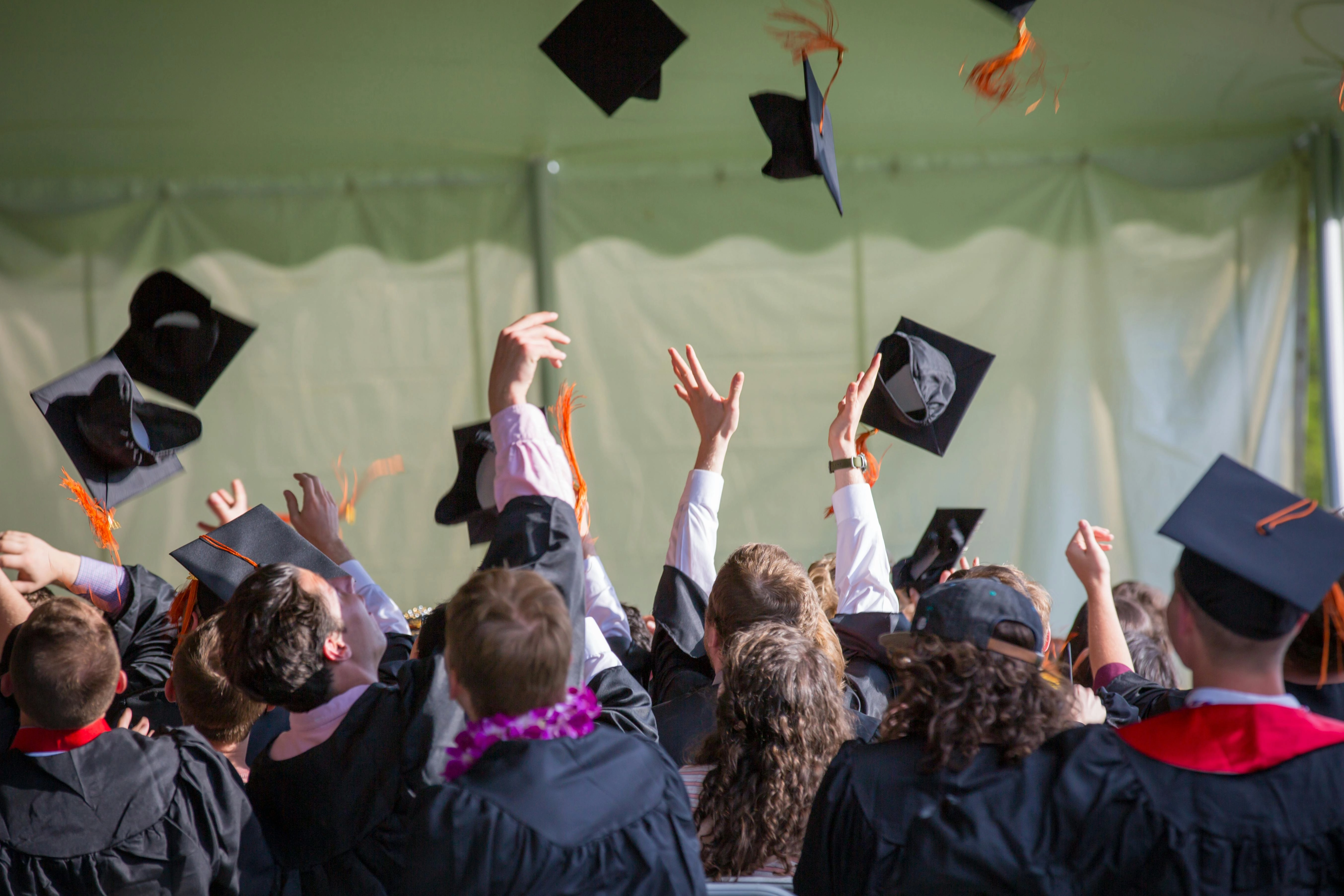 Graduation Celebration Color Palette, Combinations & Schemes | Octet ...