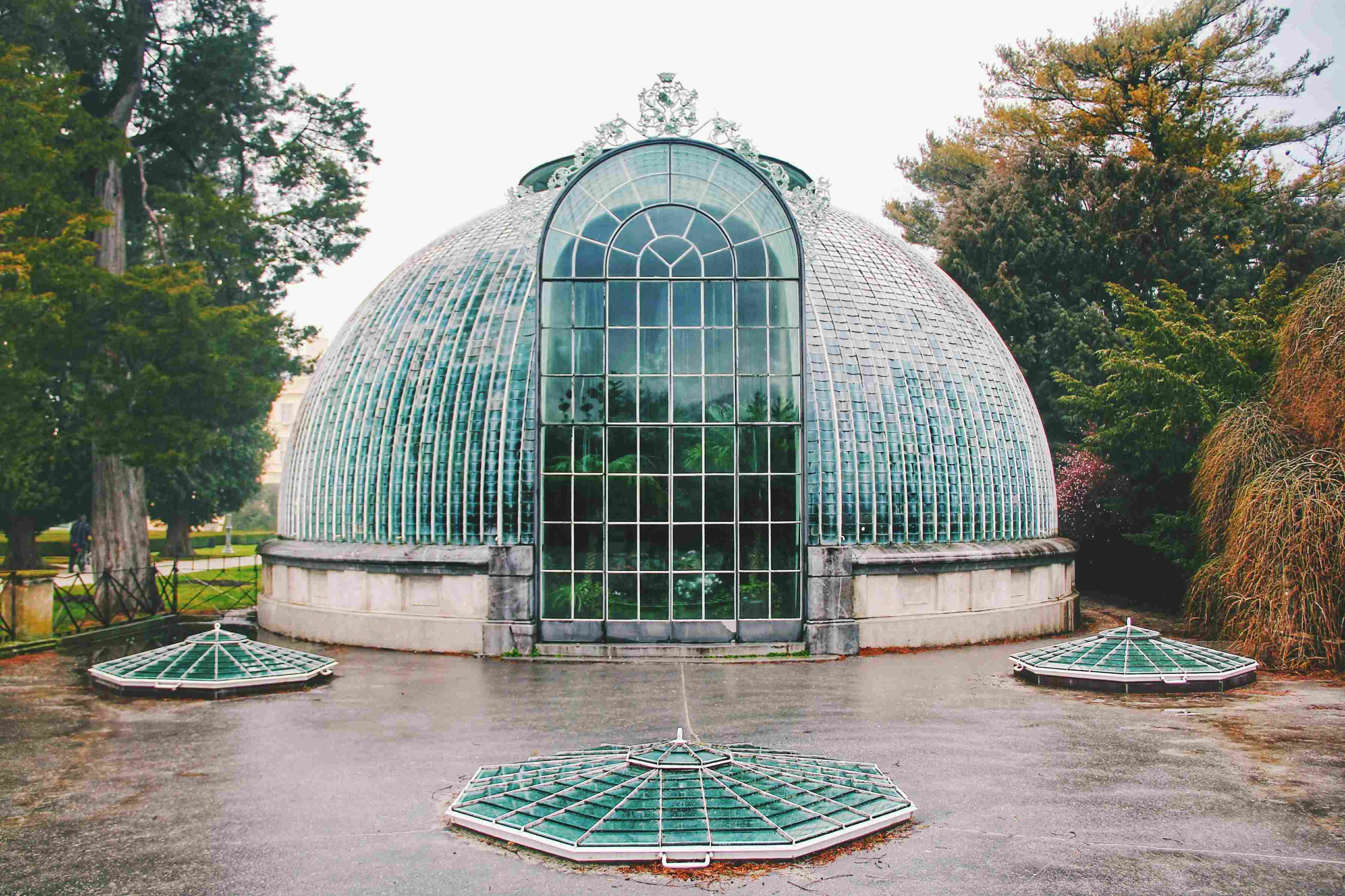 Ornate Greenhouse Color Palette, Combinations & Schemes | Octet Design Labs