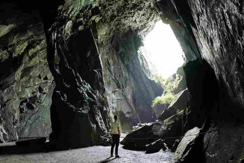 Cave Explorer Color Palette, Combinations & Schemes | Octet Design Labs