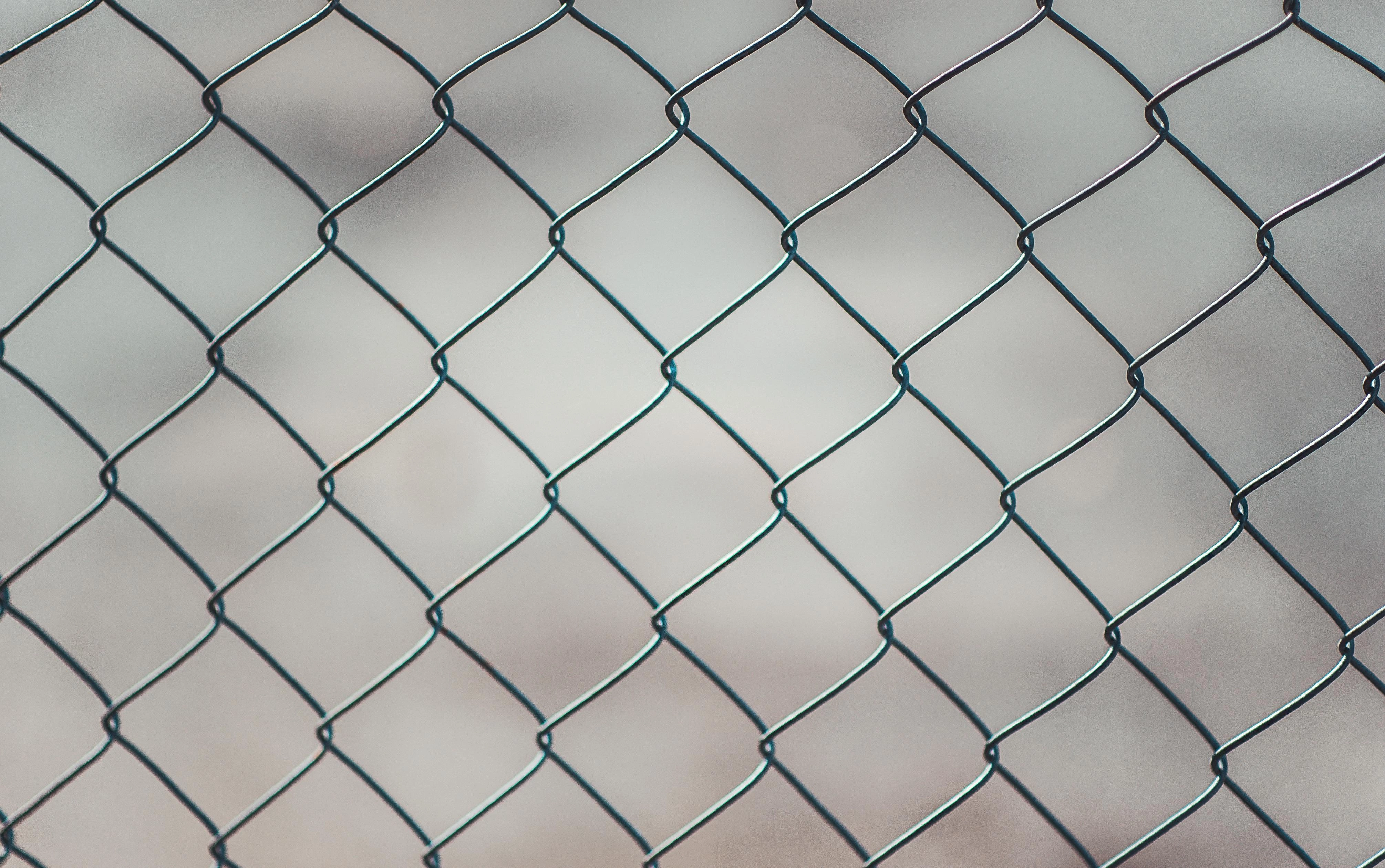 Chain-link fence Color Palette, Combinations & Schemes | Octet Design Labs