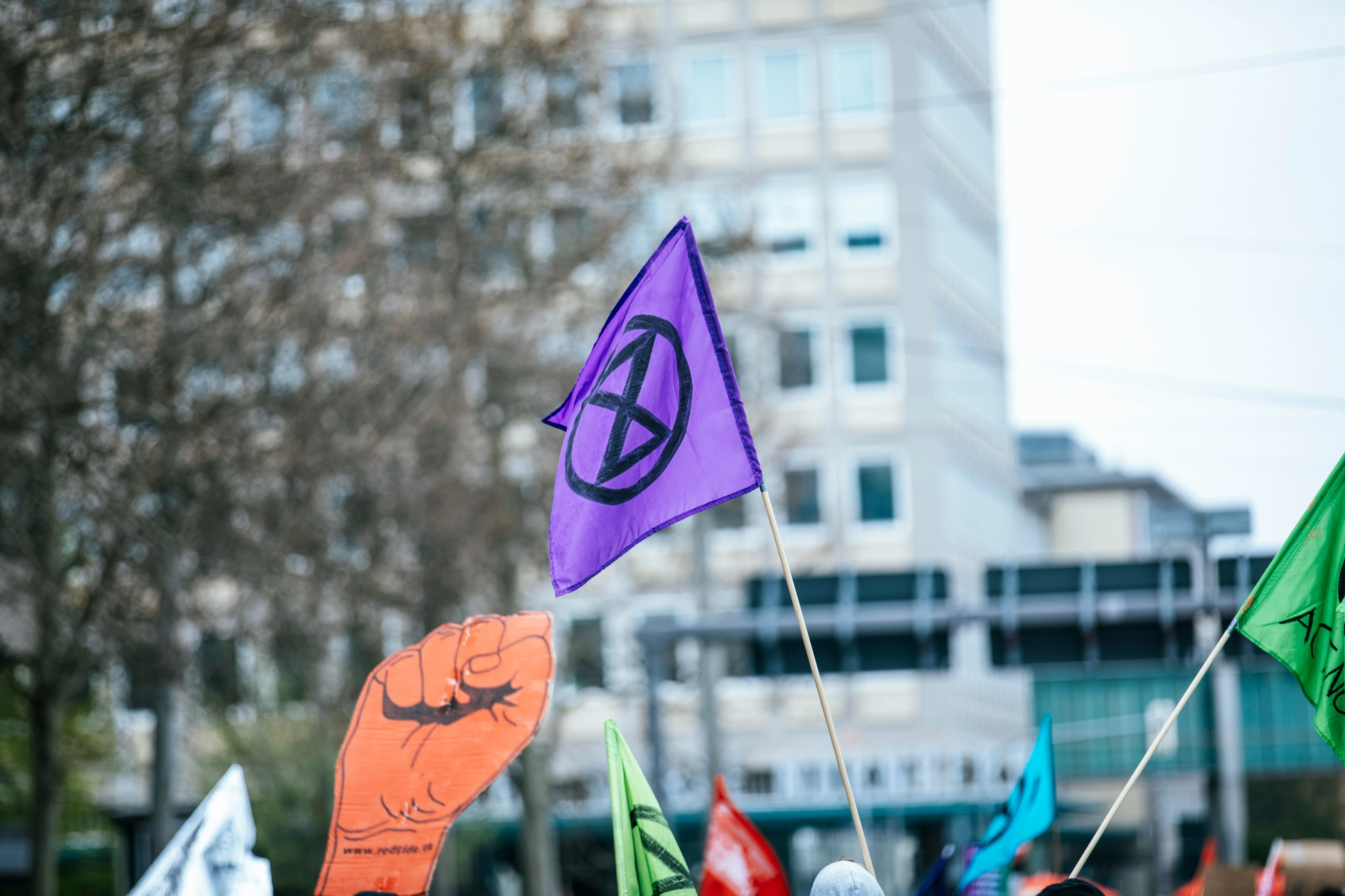 Extinction Rebellion Color Palette, Combinations & Schemes | Octet ...