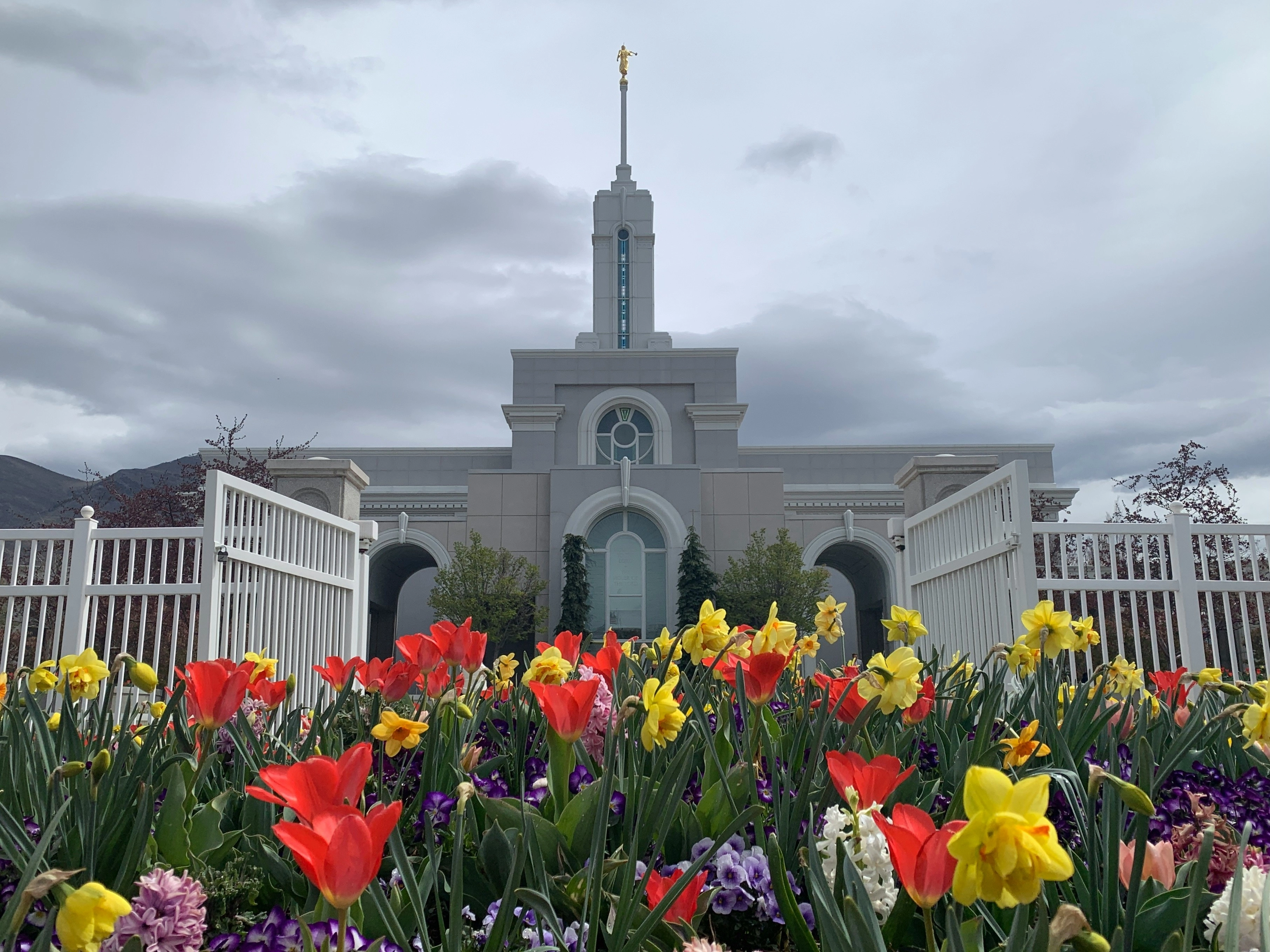 Temple Blooms Color Palette, Combinations & Schemes | Octet Design Labs
