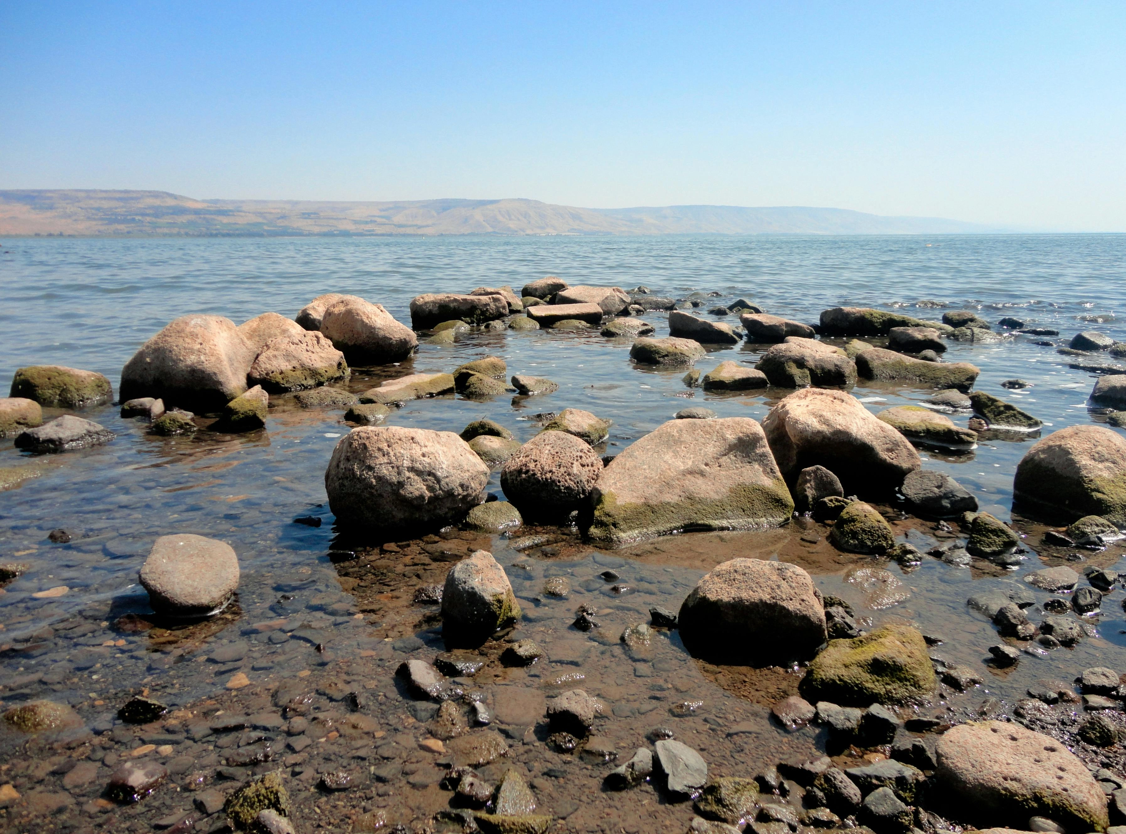 Rocky Lakeshore Color Palette, Combinations & Schemes | Octet Design Labs
