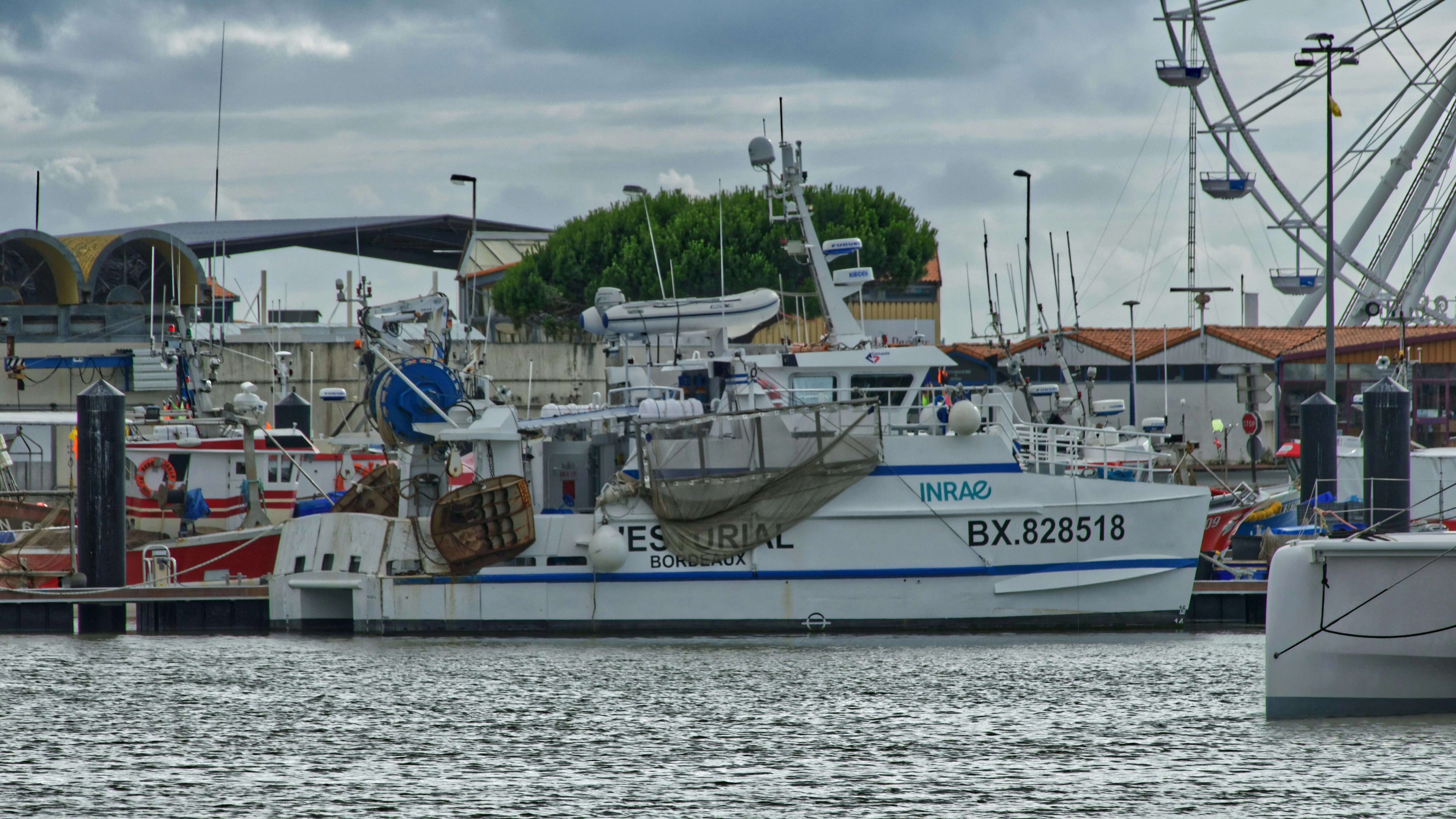 Fishing Boat Color Palette, Combinations & Schemes | Octet Design Labs