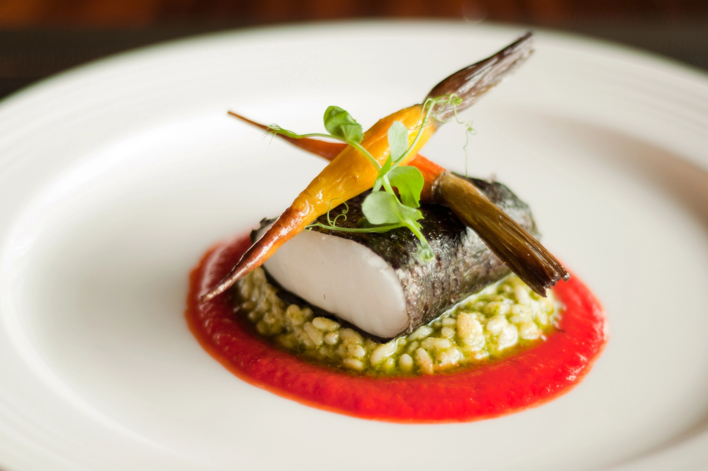Gourmet Fish Color Palette, Combinations & Schemes | Octet Design Labs