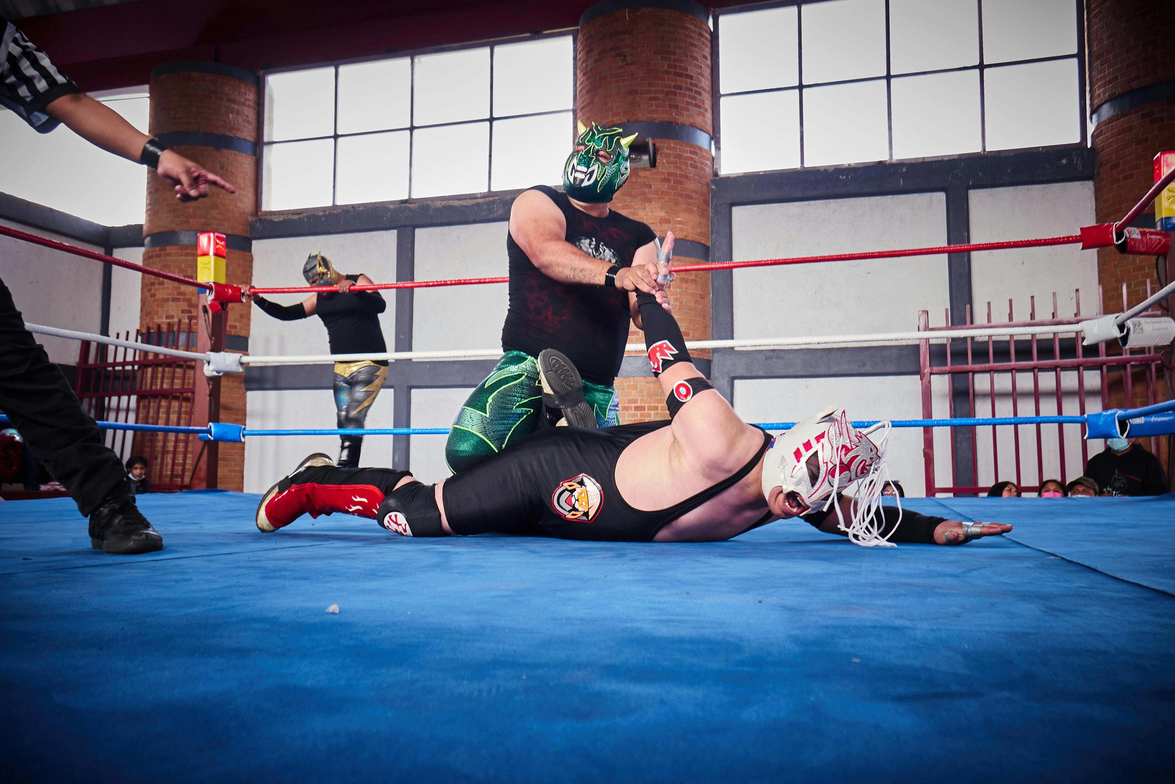 Lucha Libre Color Palette, Combinations & Schemes | Octet Design Labs