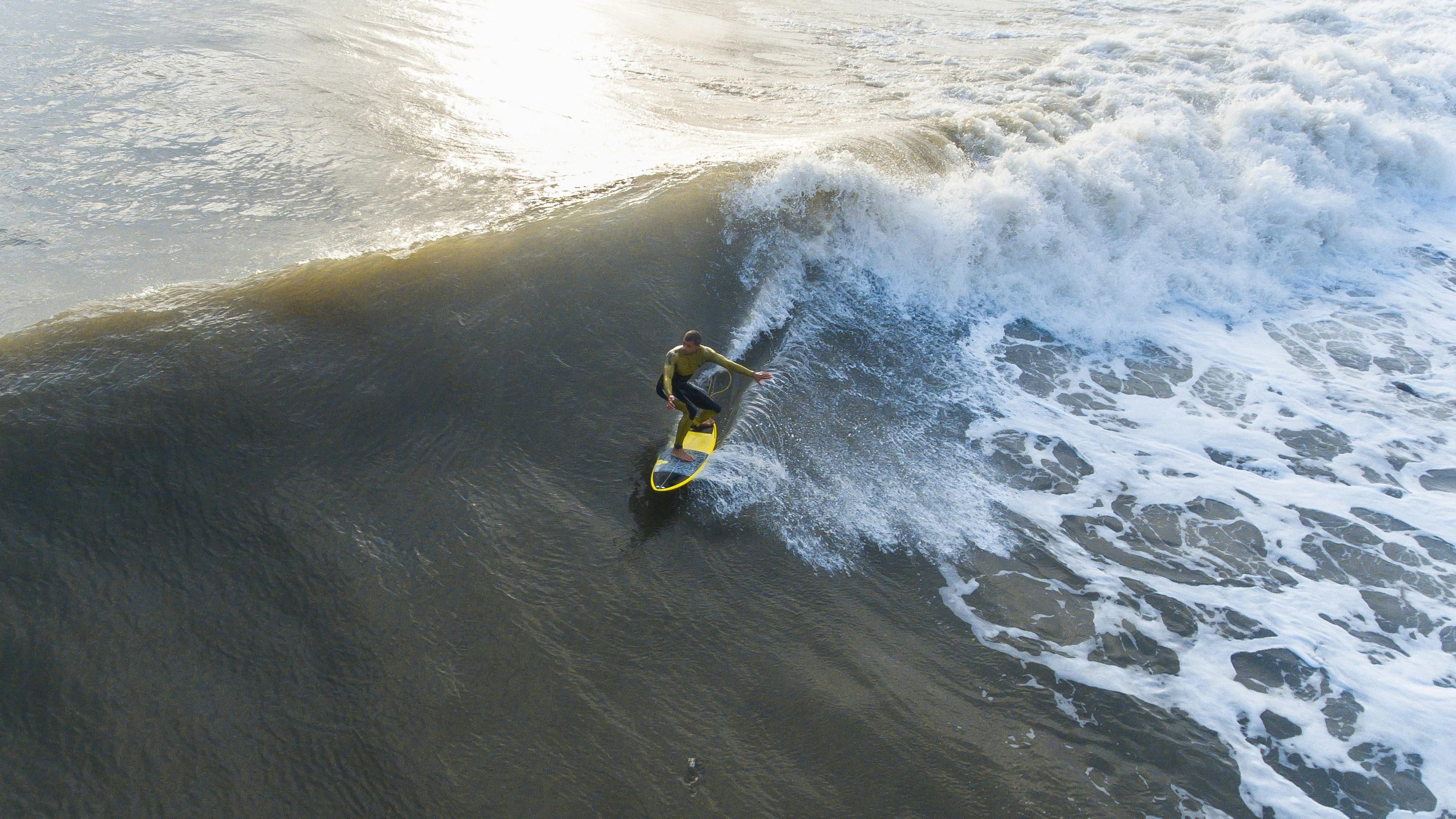 Surfer Rides Color Palette, Combinations & Schemes | Octet Design Labs