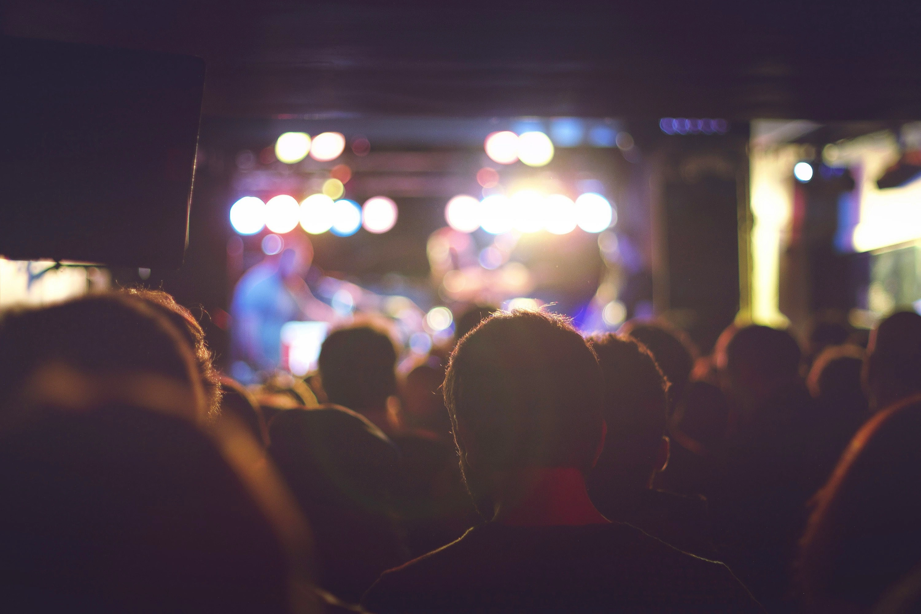 Concert crowd Color Palette, Combinations & Schemes | Octet Design Labs