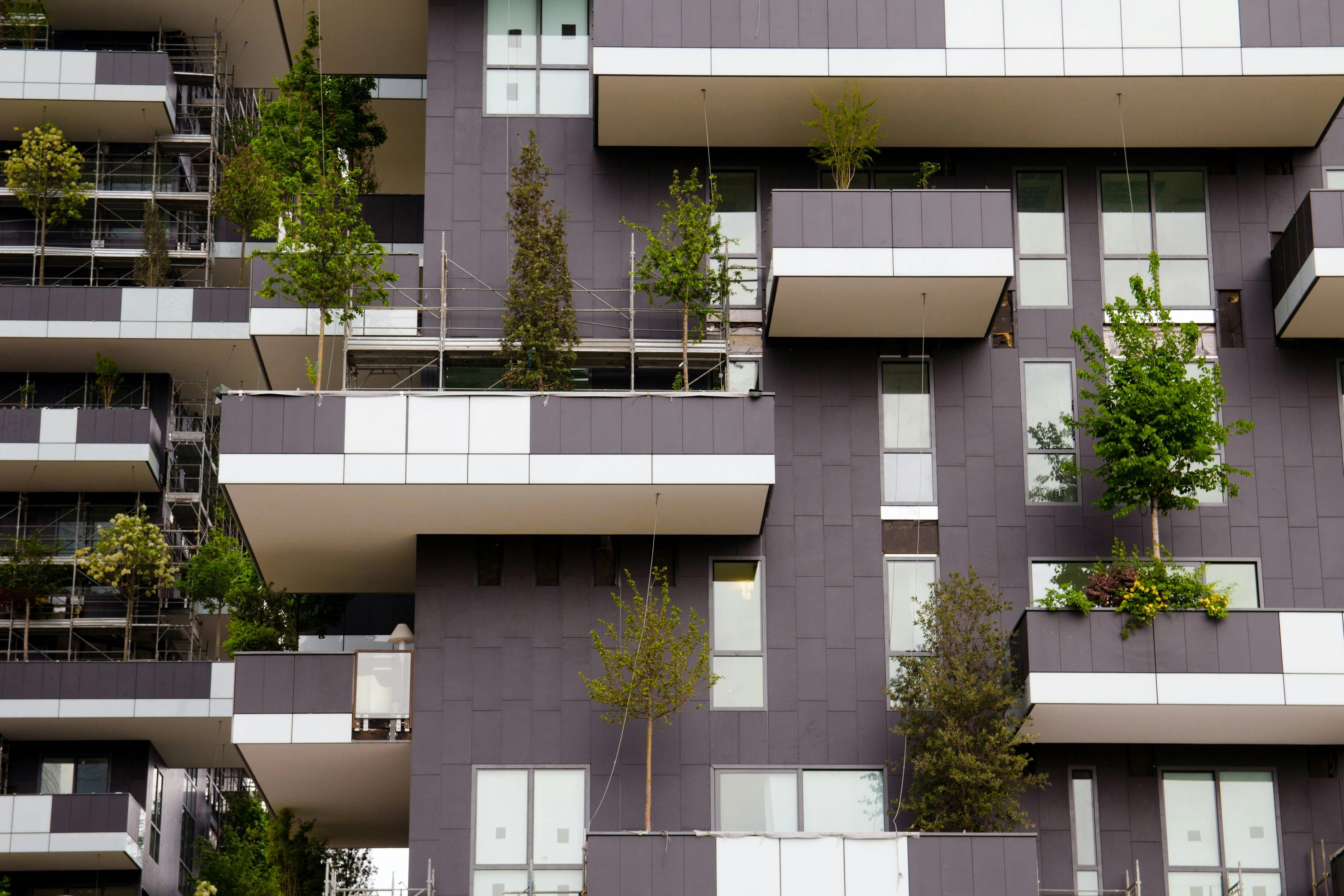 Modern Eco-Friendly Color Palette, Combinations & Schemes | Octet ...