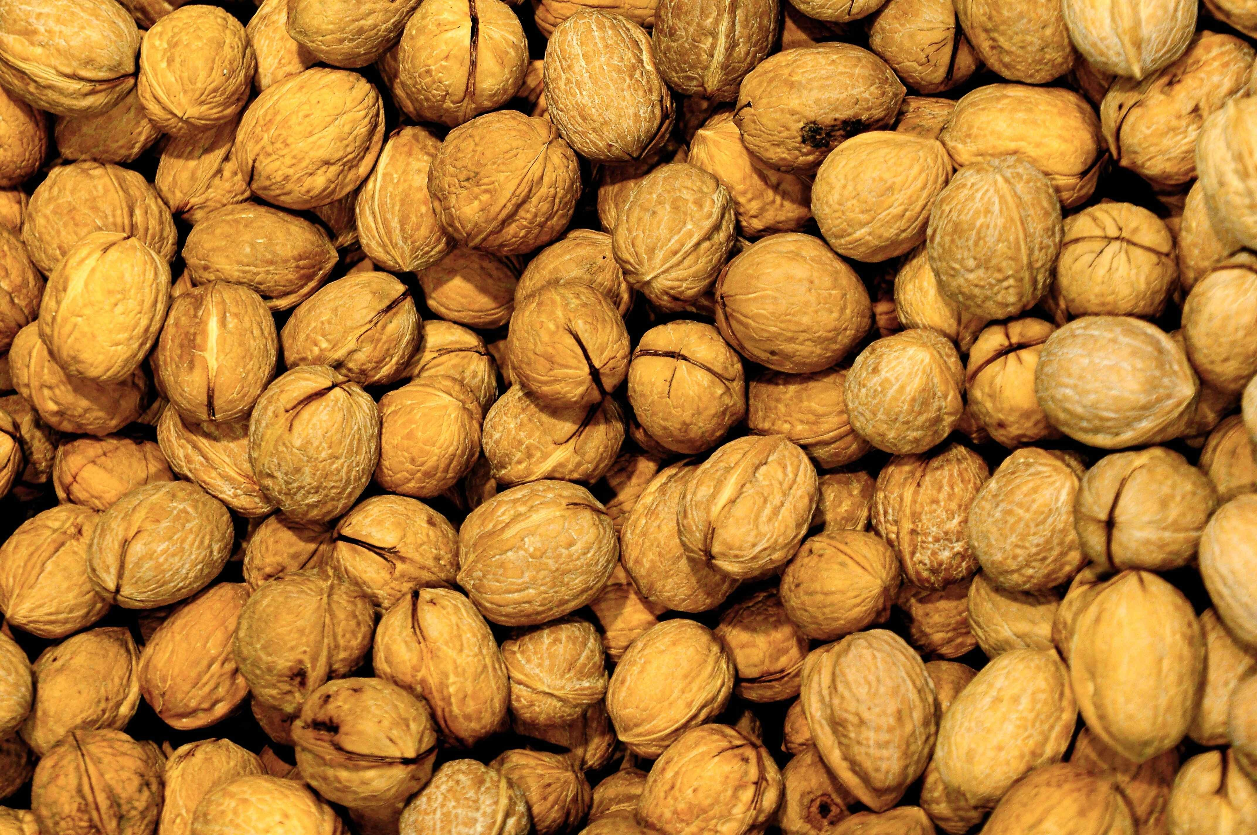 Golden Walnuts Color Palette, Combinations & Schemes | Octet Design Labs