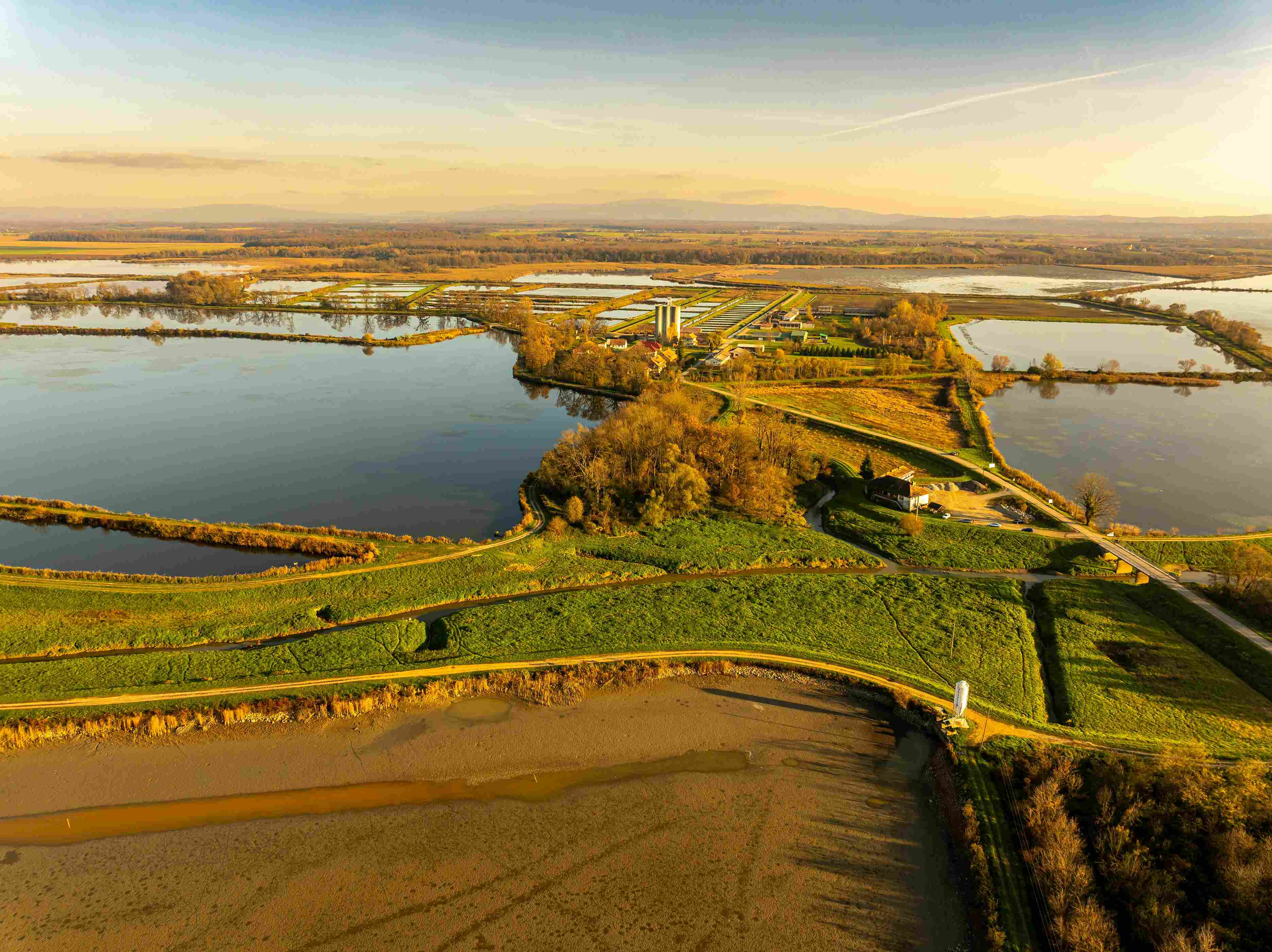 Aerial Wetland Color Palette, Combinations & Schemes | Octet Design Labs