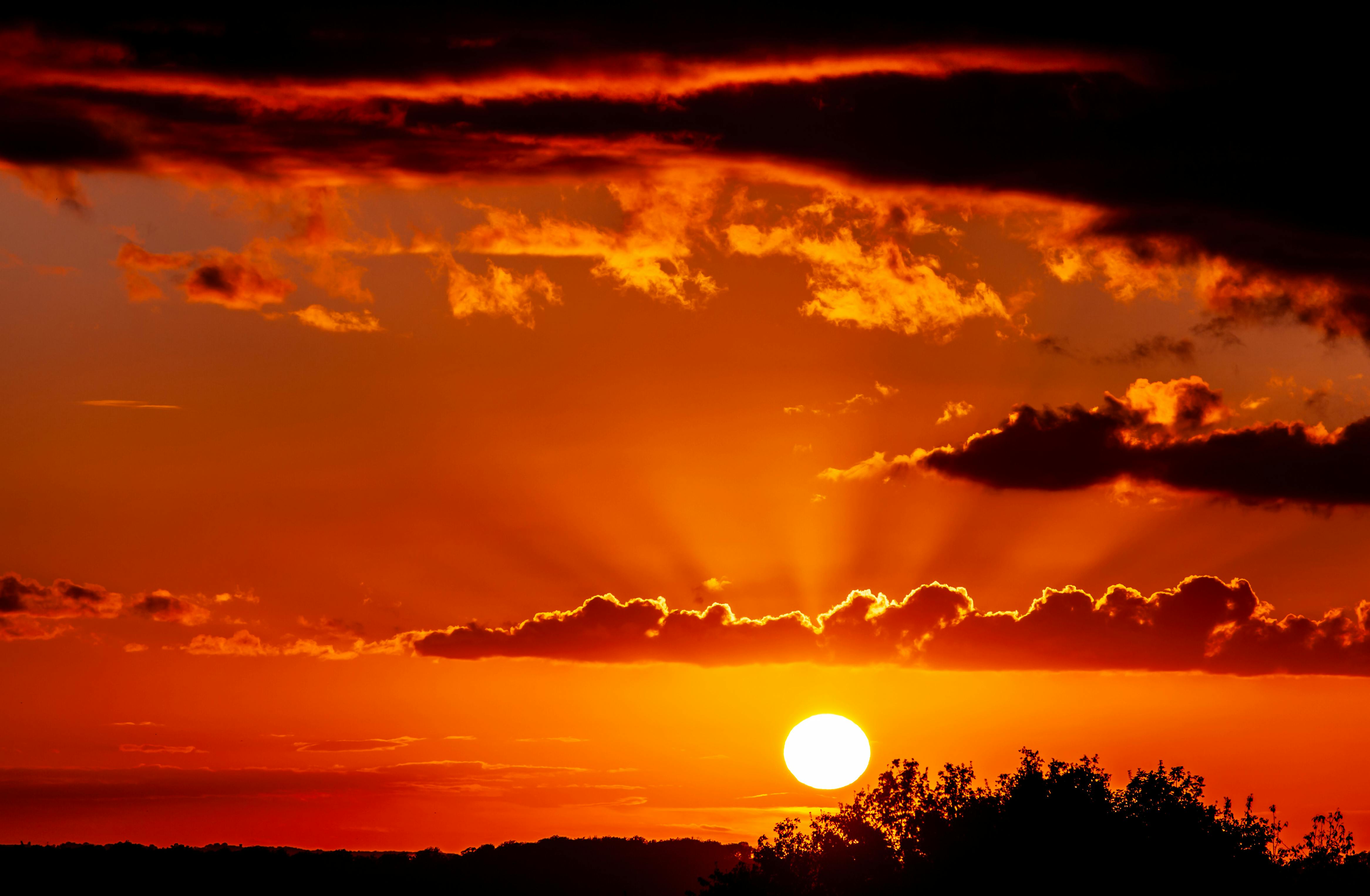 Fiery Sunset Color Palette, Combinations & Schemes | Octet Design Labs