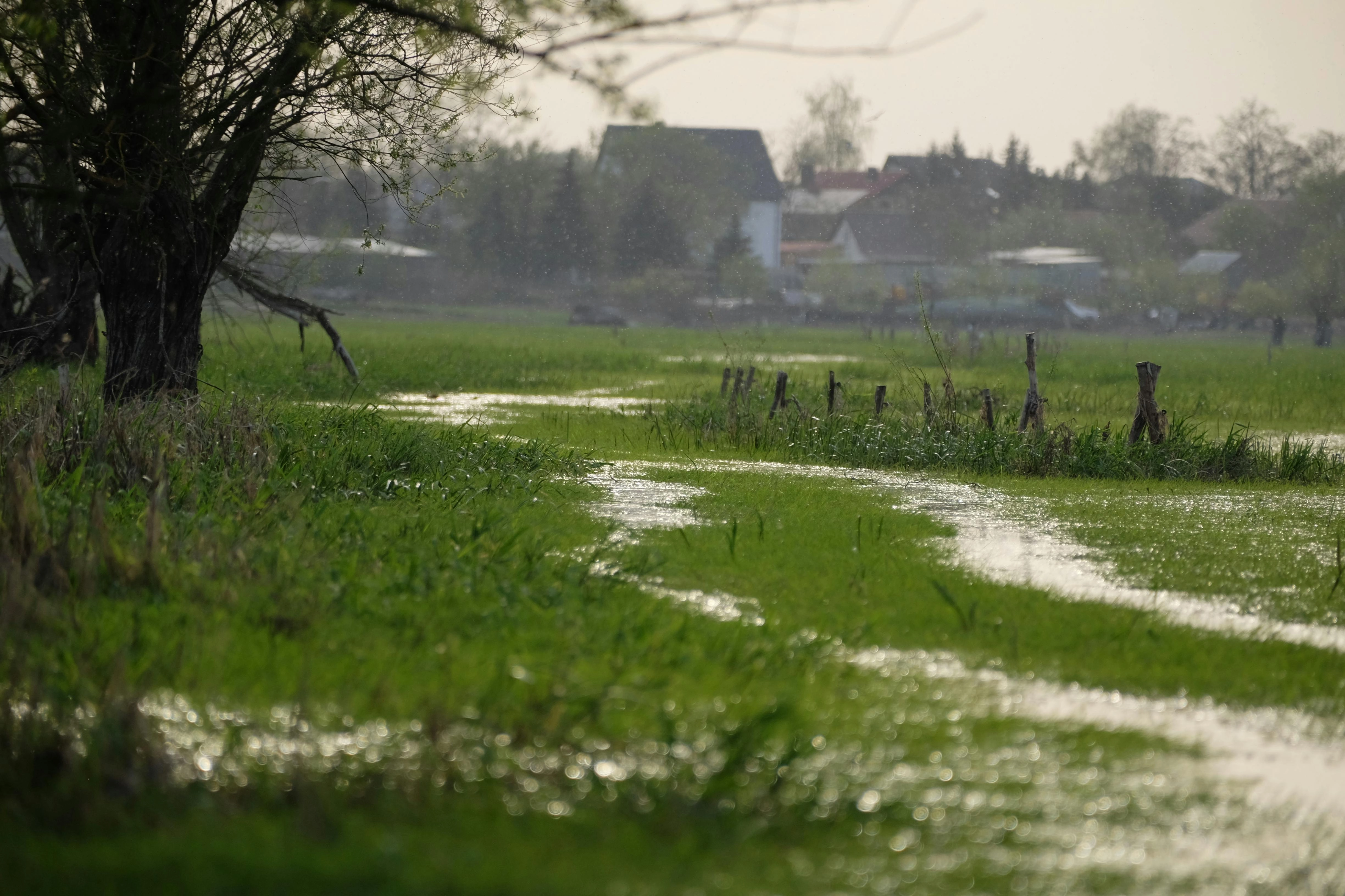 Flooded rural Color Palette, Combinations & Schemes | Octet Design Labs